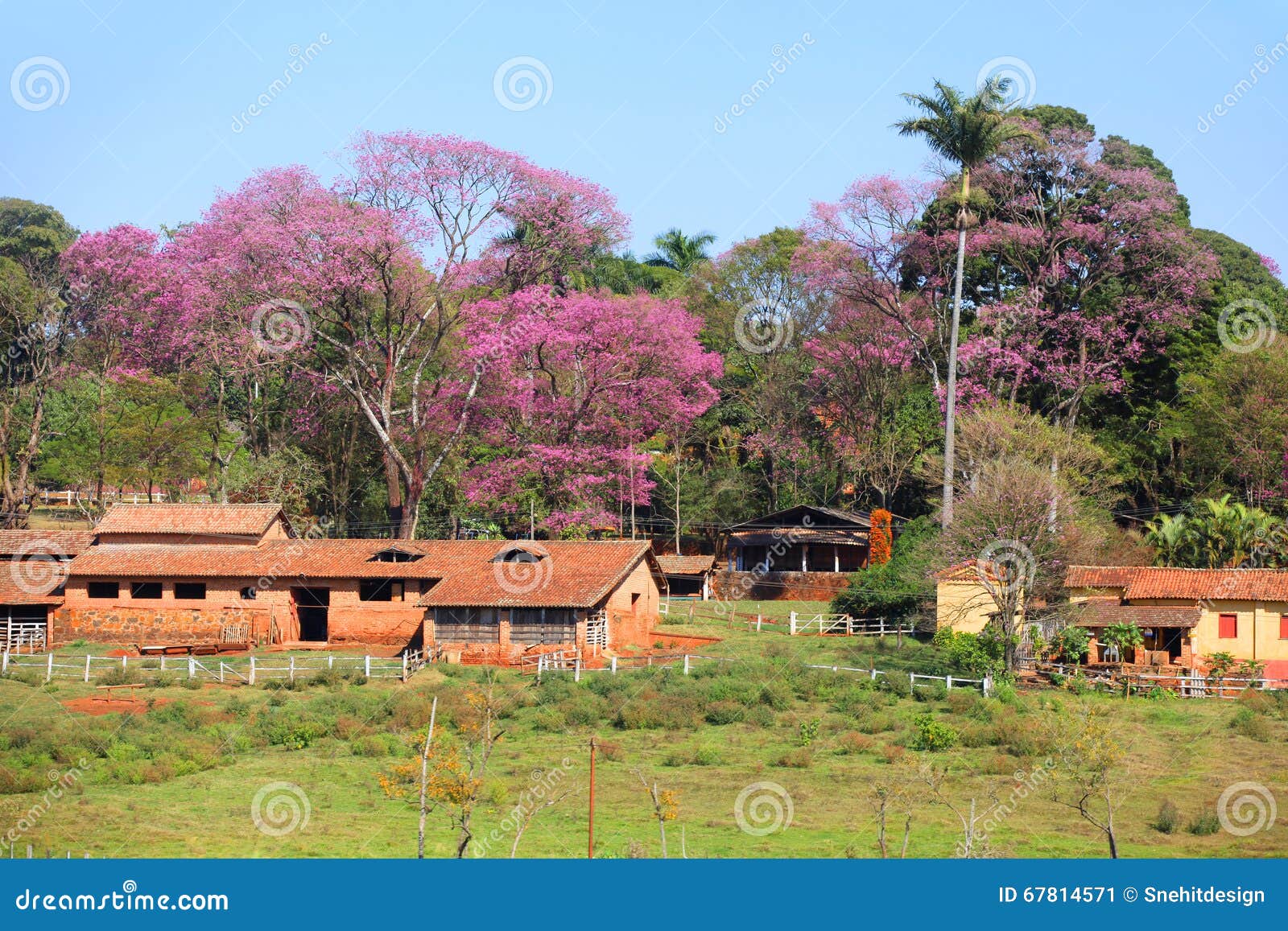 Brazil rural landscape stock image. Image of rural, vintage - 67814571