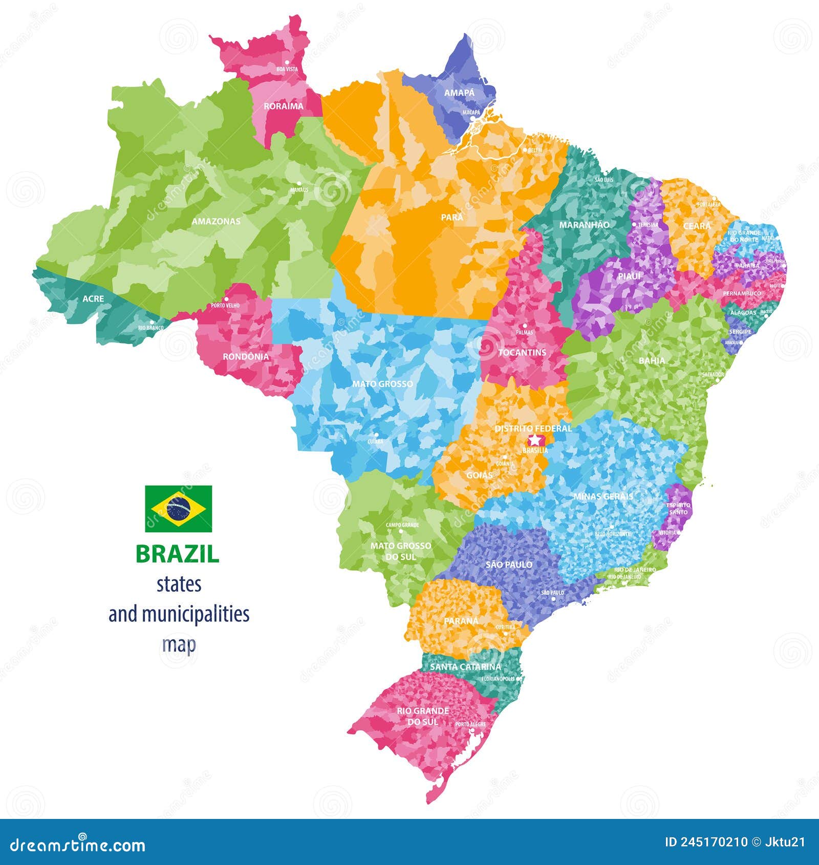 Brazil States and Municipalities Vector High Detailed Colored Map Stock ...