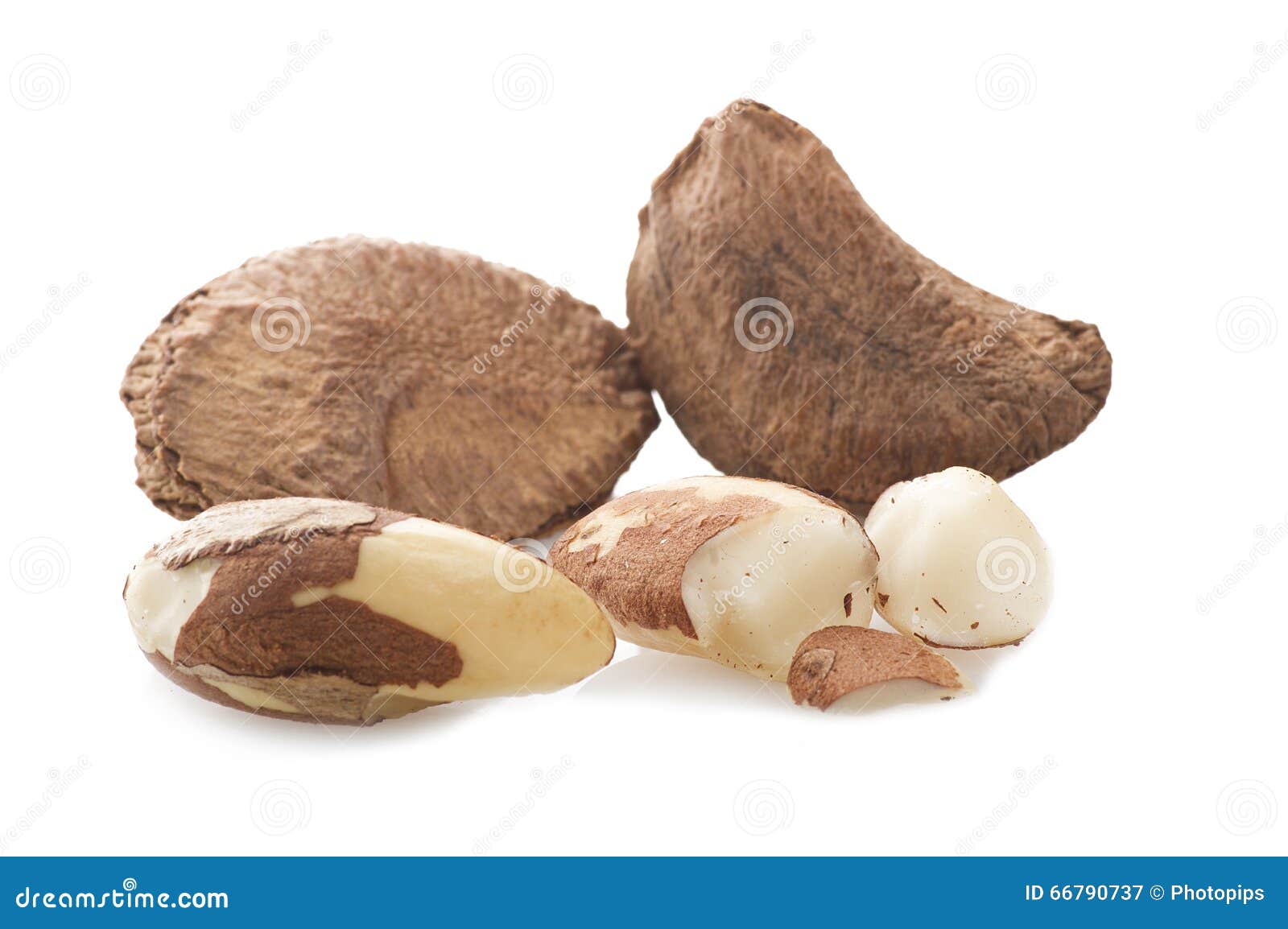Brazil walnut stock image. Image of salted, detail, roasted - 66790737