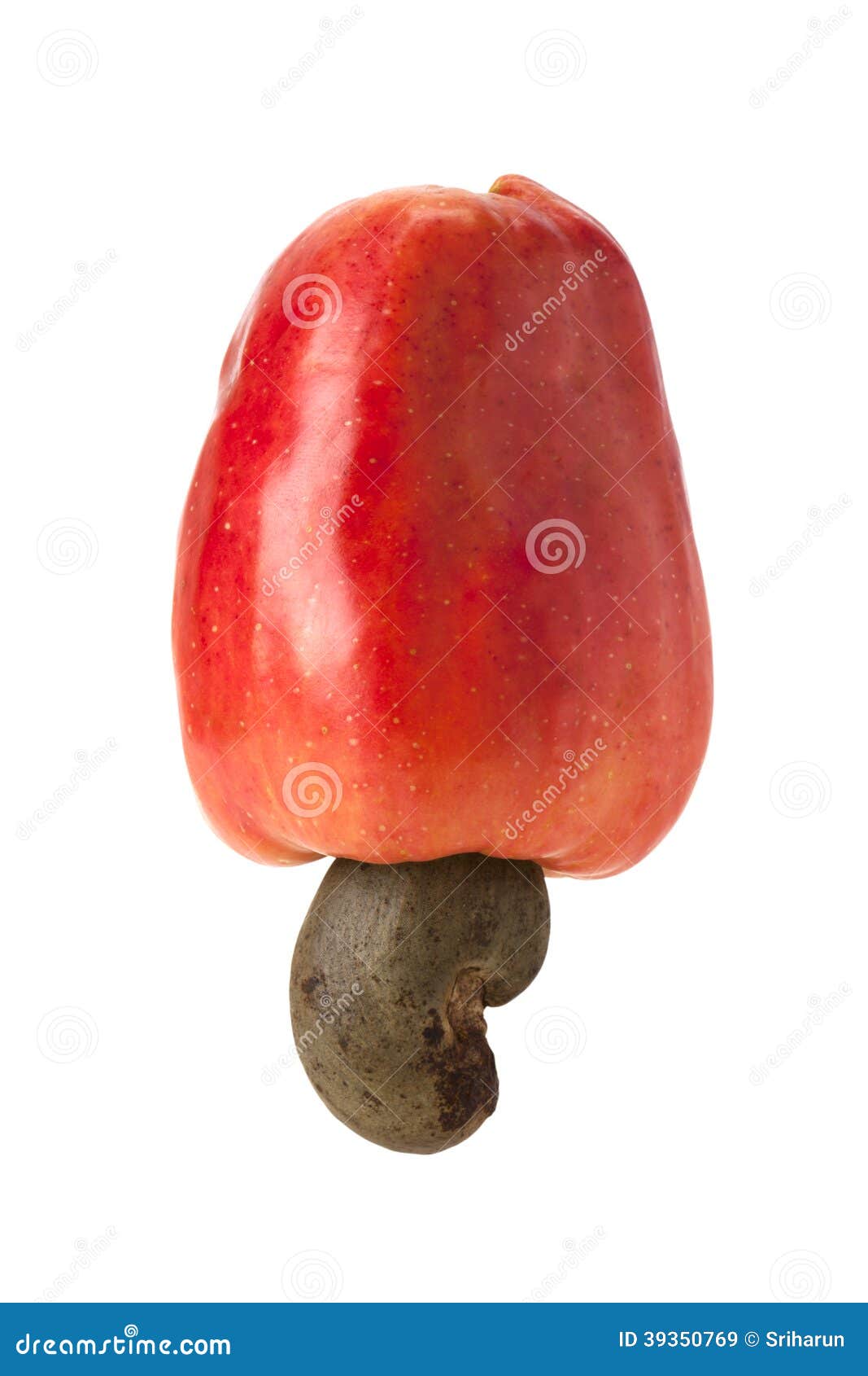 Braziliaans Caju-Cachoufruit Stock Afbeelding - Image of landbouw ...