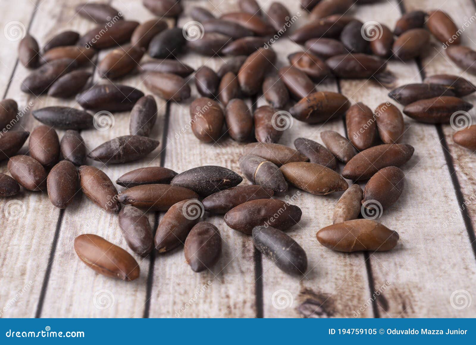 Brazilian Baru Nut Castanha De Baru With Grain Scoop In Jute Background ...