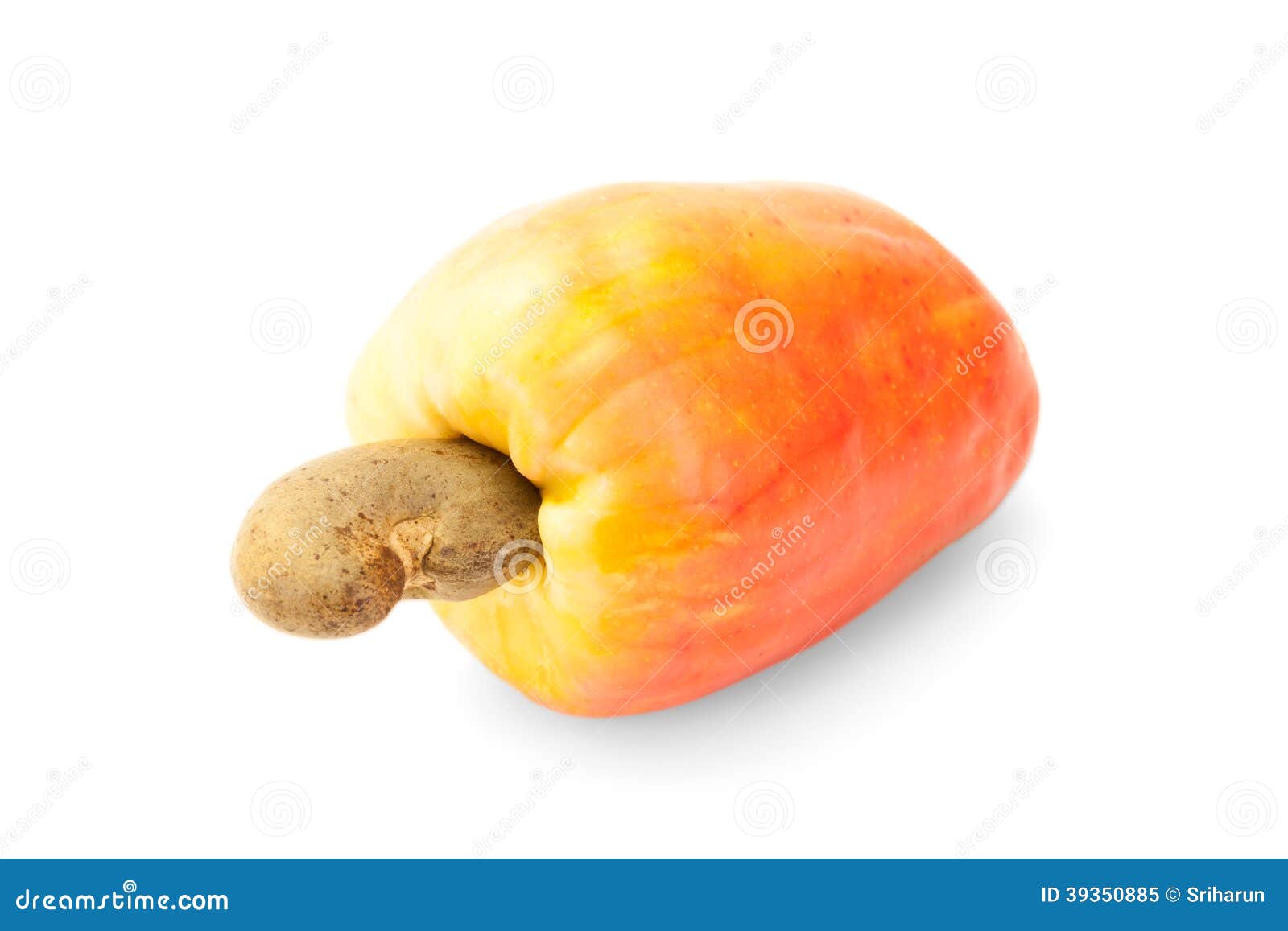 Brazilian Caju Cashew Fruit Stock Image - Image of closeup, healthy ...