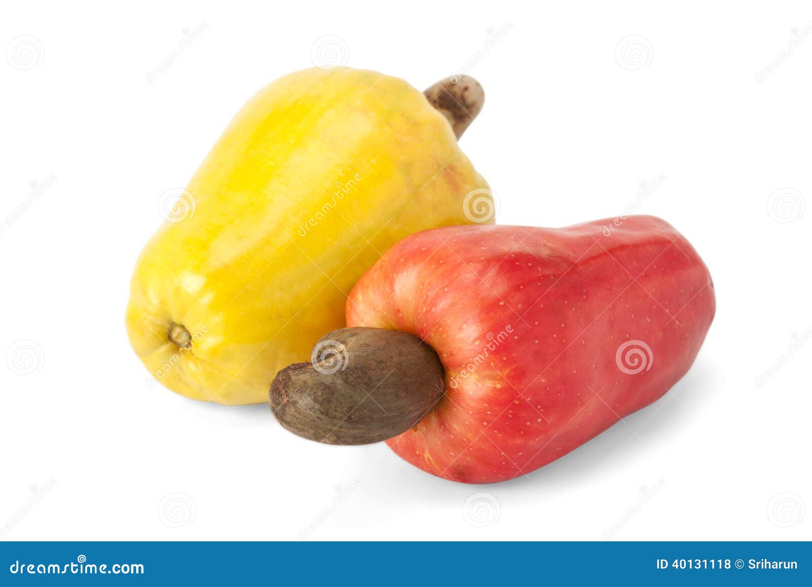 Caju Stock Photography | CartoonDealer.com #234622220