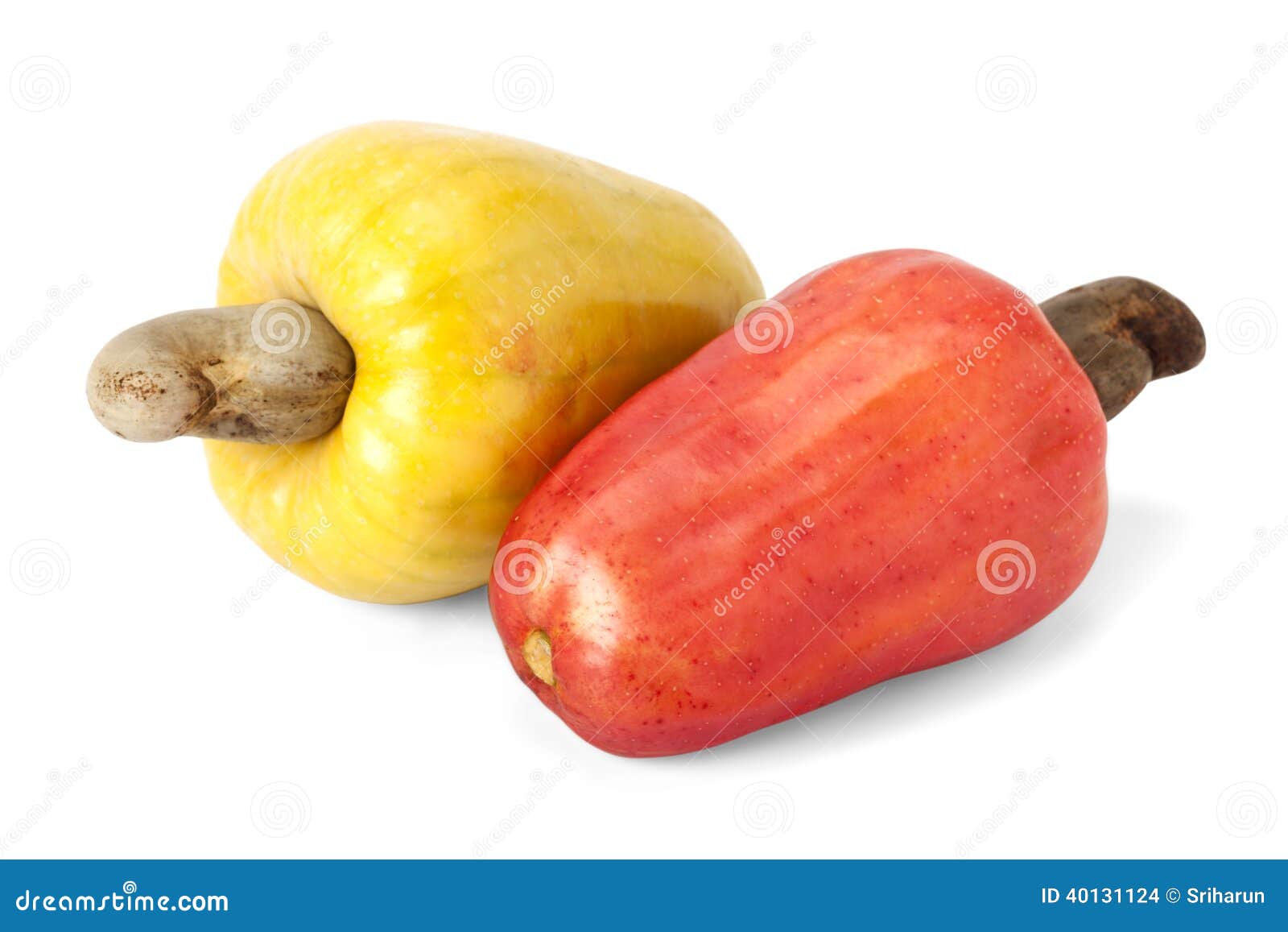 Brazilian Caju Cashew Fruit Stock Photo - Image of cachoux, fruits ...