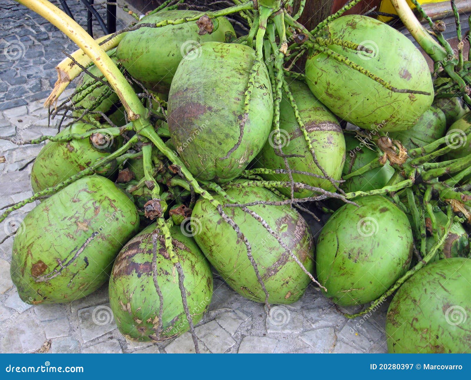 Brazilian Coconuts Agua De Coco Stock Image - Image of milk, drink ...