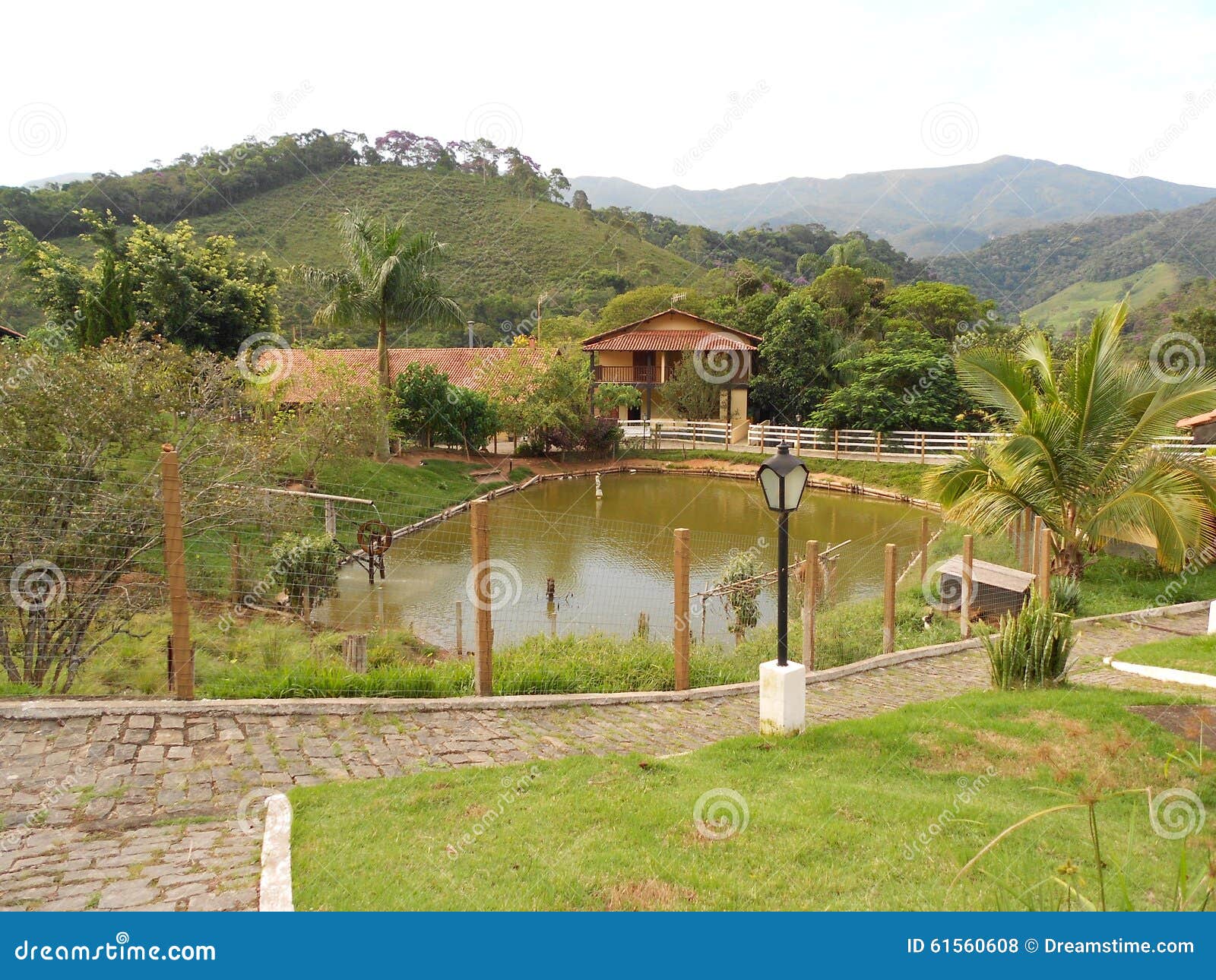 Brazilian Countryside stock photo. Image of countryside - 61560608