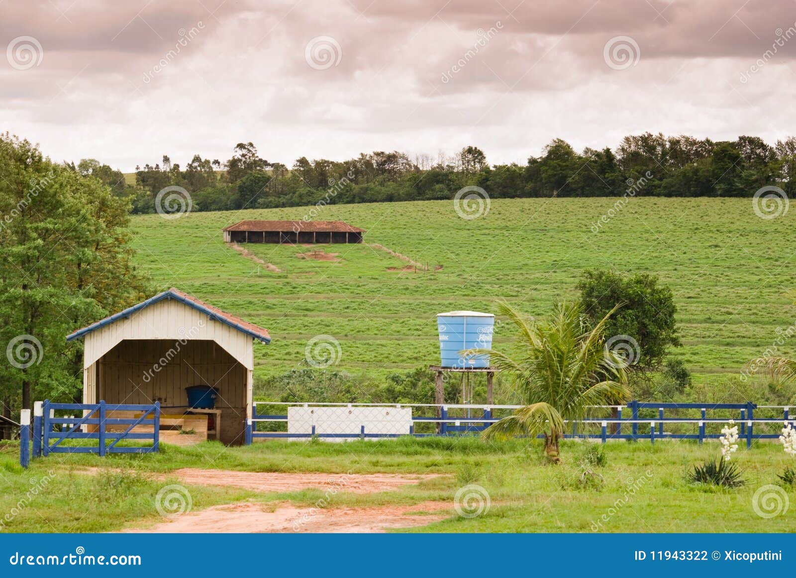 Brazilian Farm stock photo. Image of house, environmental - 11943322