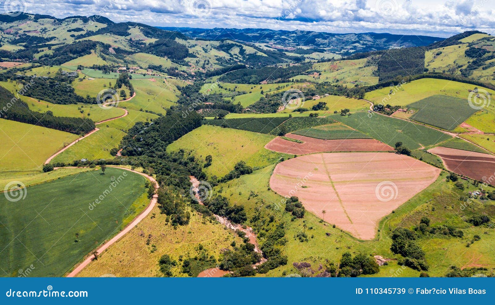 Brazilian Farm stock image. Image of brazilian, orange - 110345739