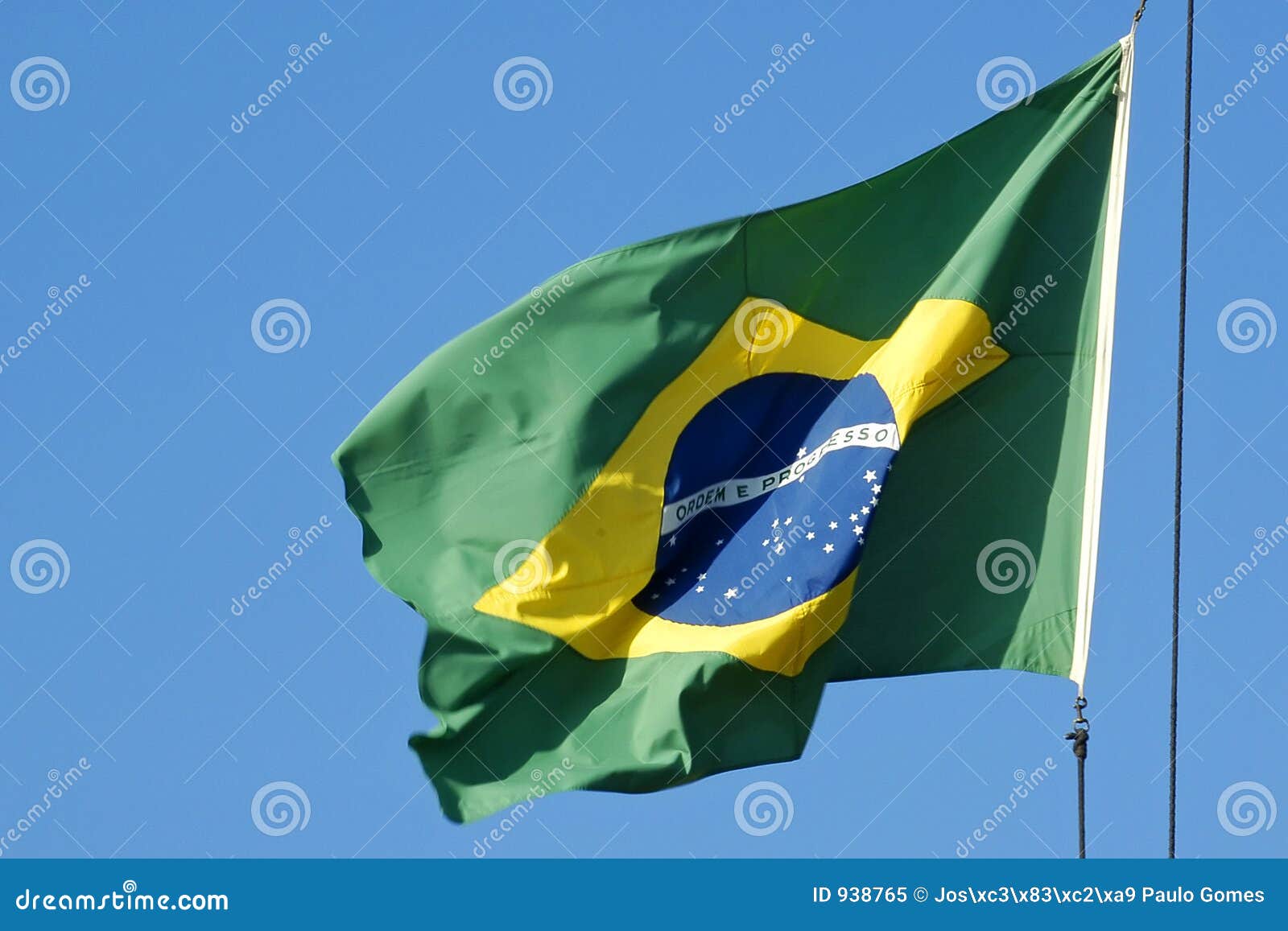 Brazilian Flag And A Palm Tree Royalty-Free Stock Image | CartoonDealer ...