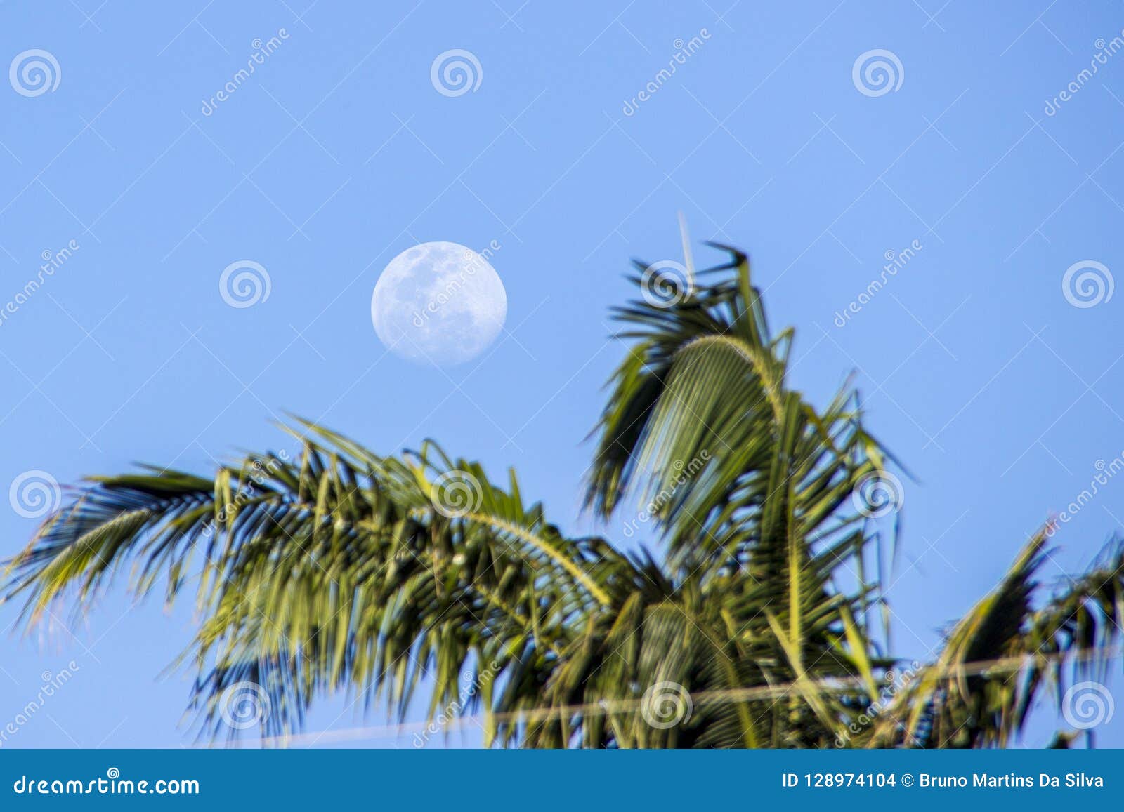Brazilian full moon. stock photo. Image of celestial - 128974104