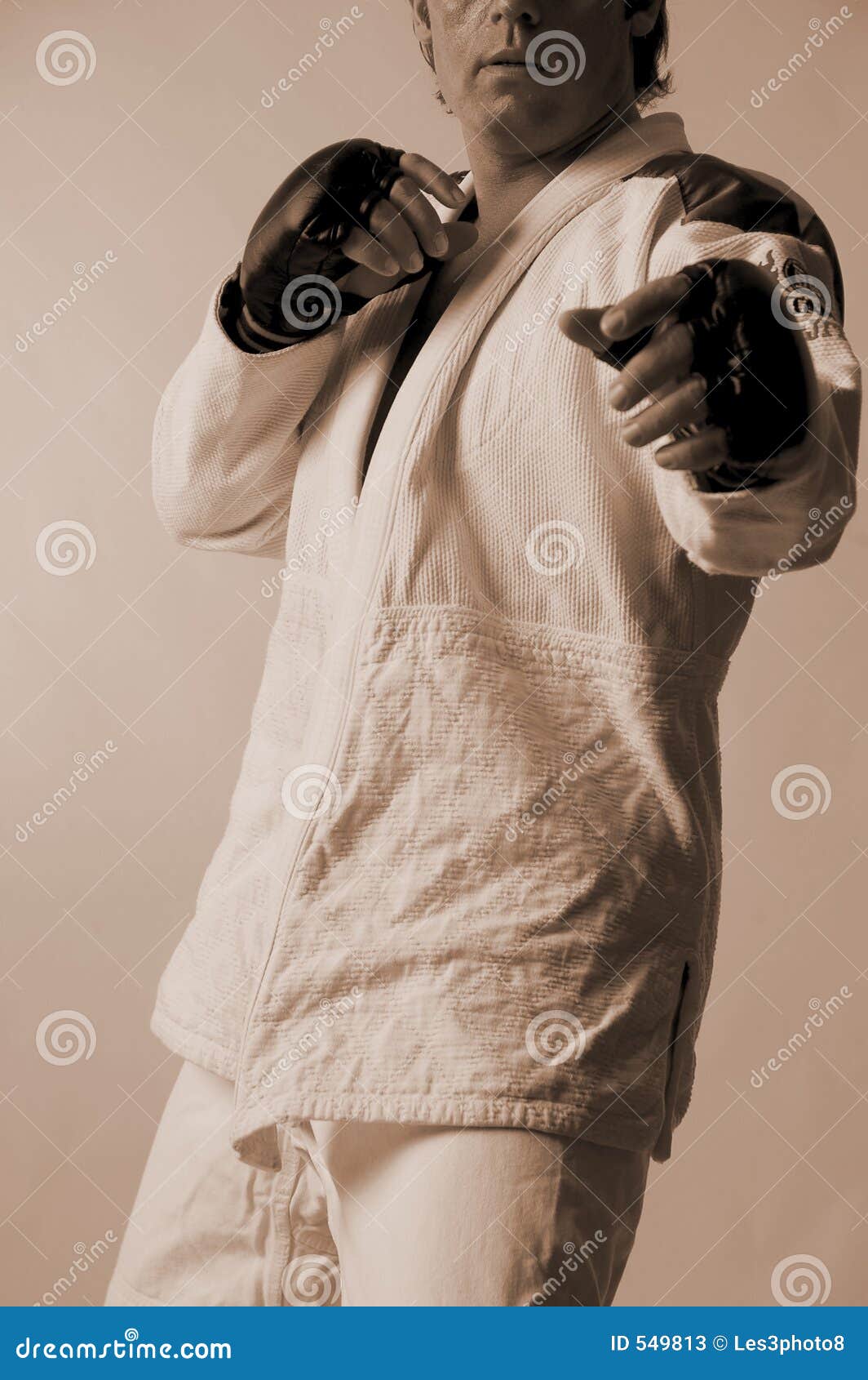 Brazilian Jiu-Jitsu stock image. Image of defense, build - 549813