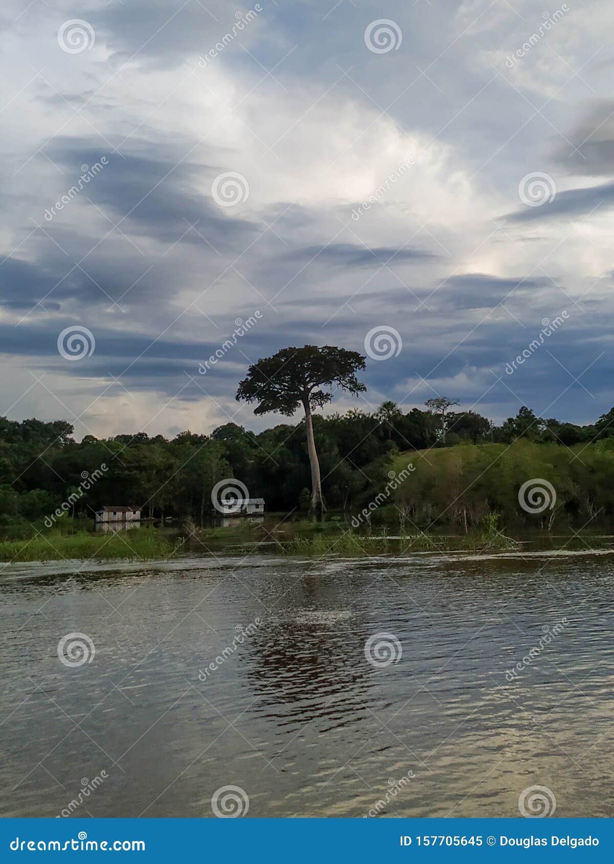 Brazilian Landscape in of the Amazon Forest Stock Image - Image of ...