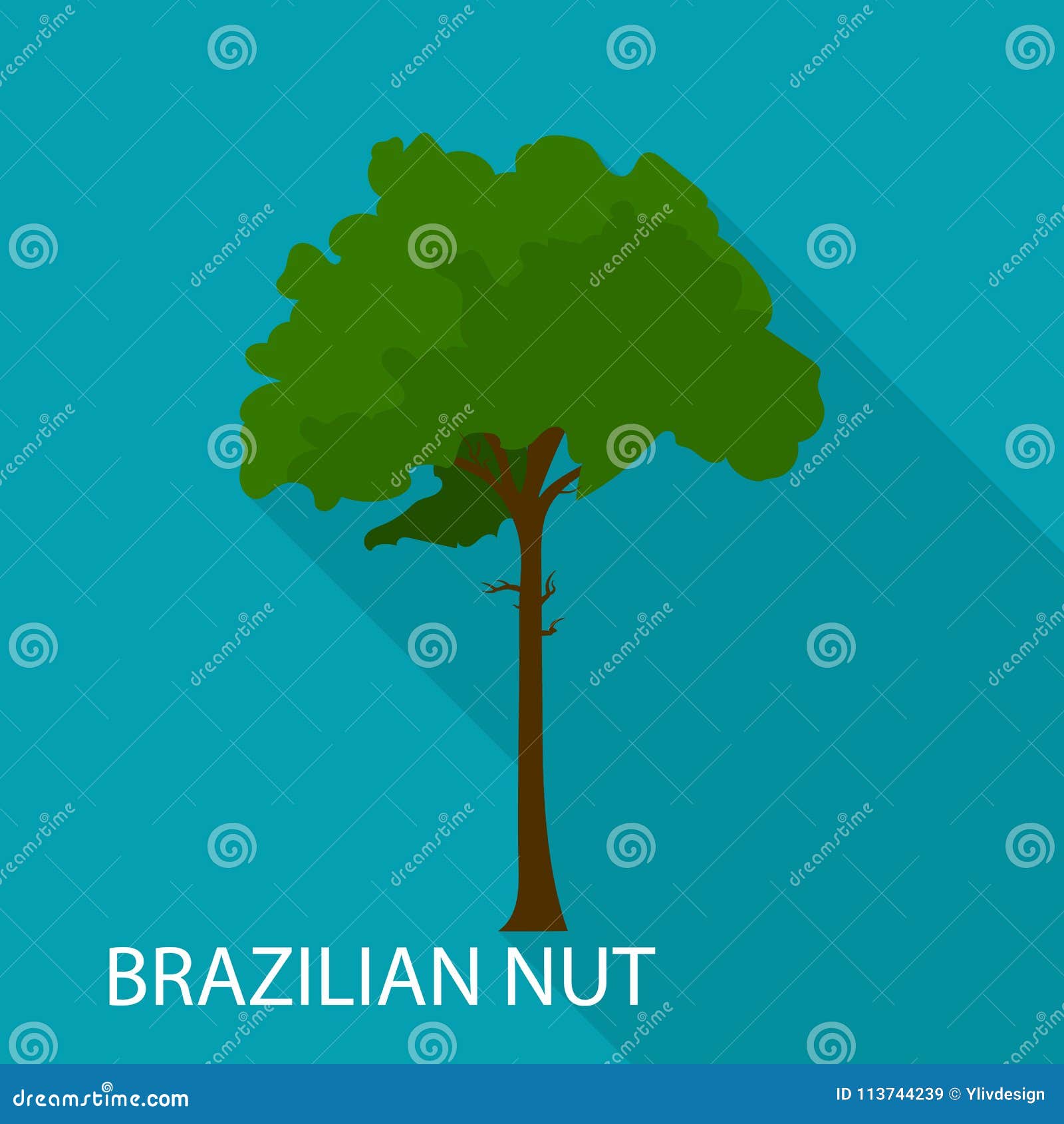 Brazilian Nut Icon, Flat Style Stock Vector - Illustration of exotic ...