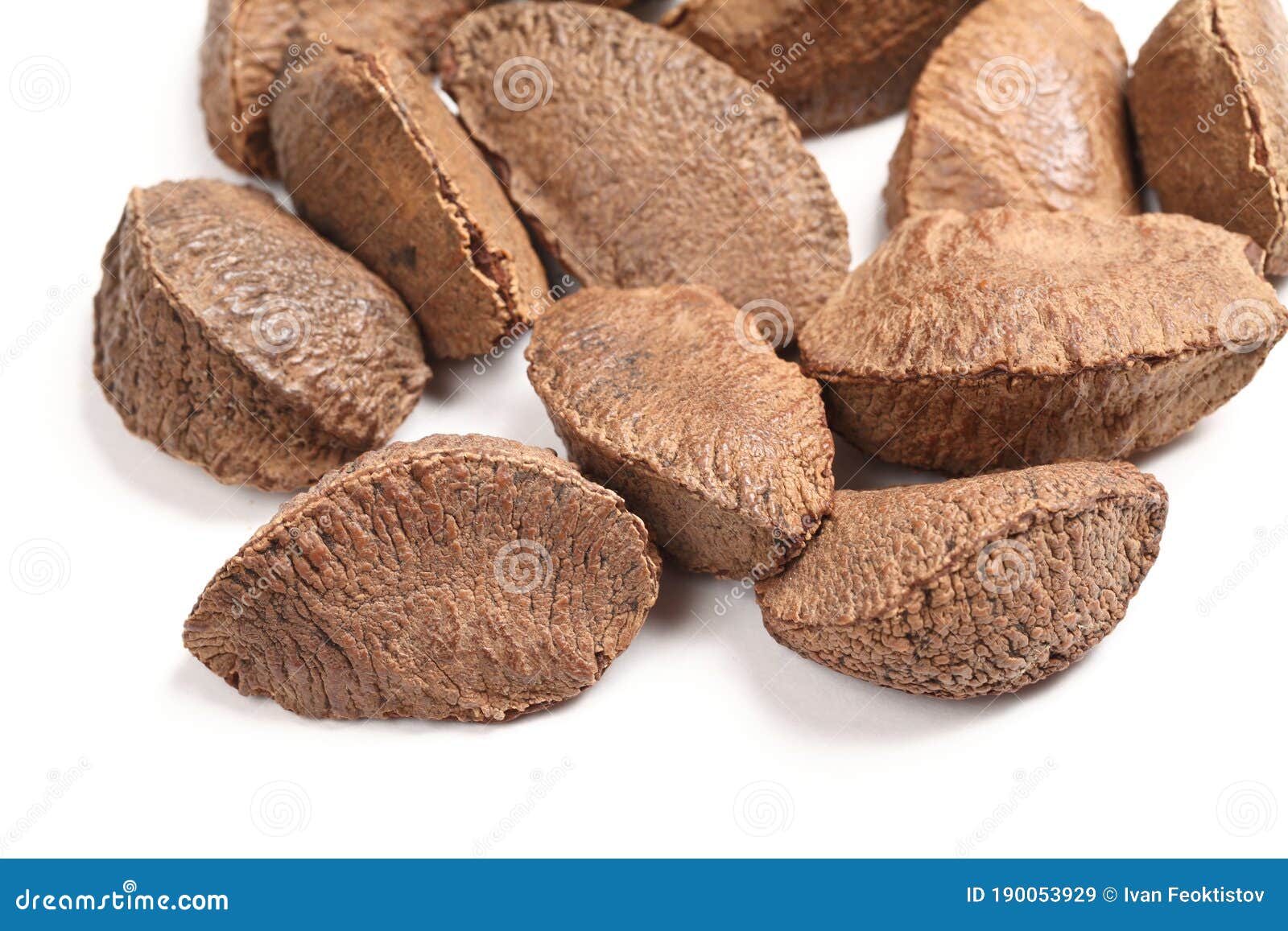 Brazilian nut in peel stock image. Image of healthy - 190053929
