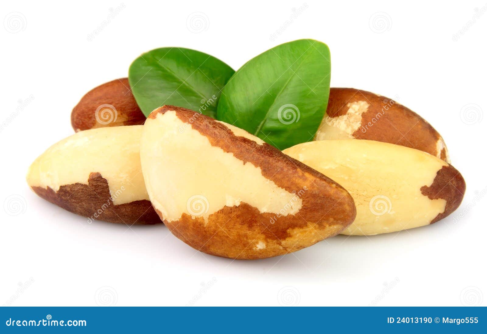 Brazilian nuts with leafs stock photo. Image of group - 24013190