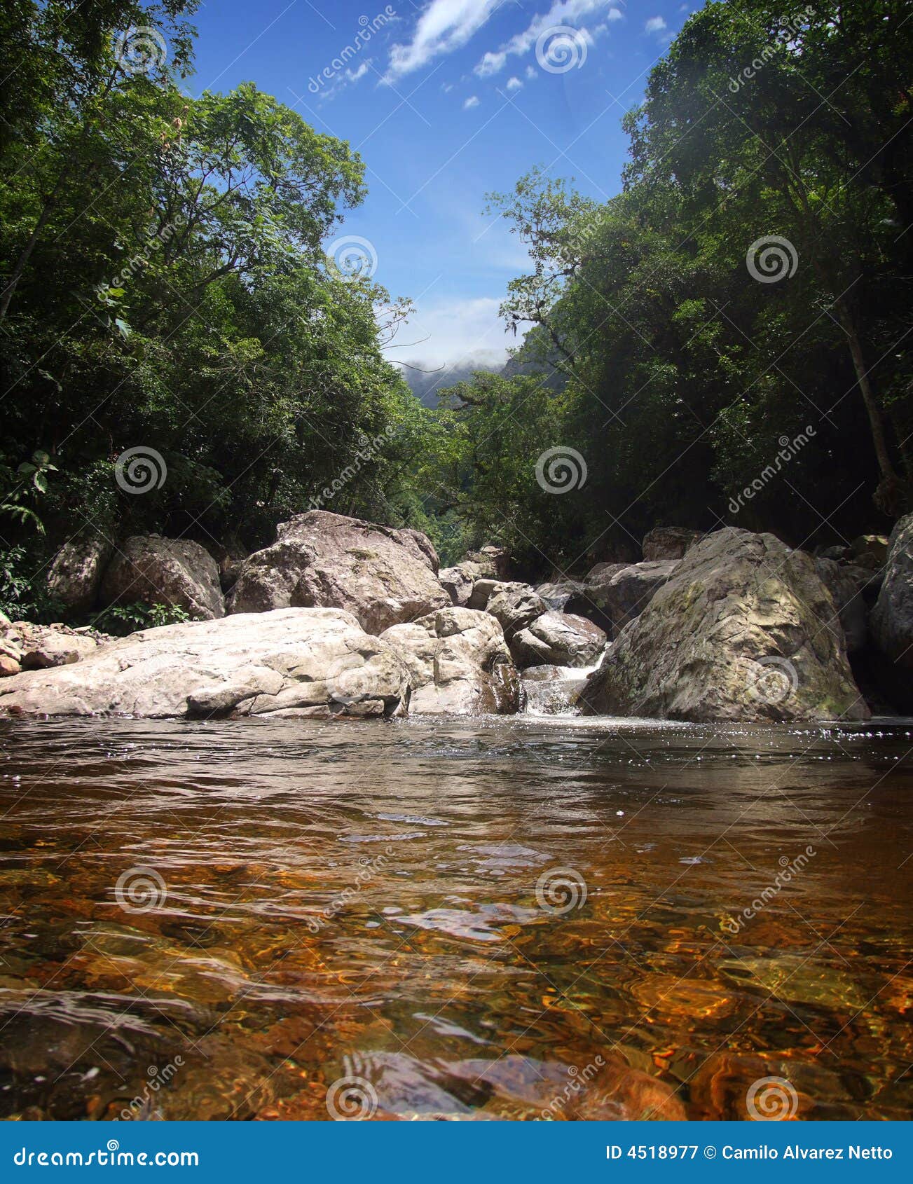 Brazilian River stock image. Image of transparent, nature - 4518977
