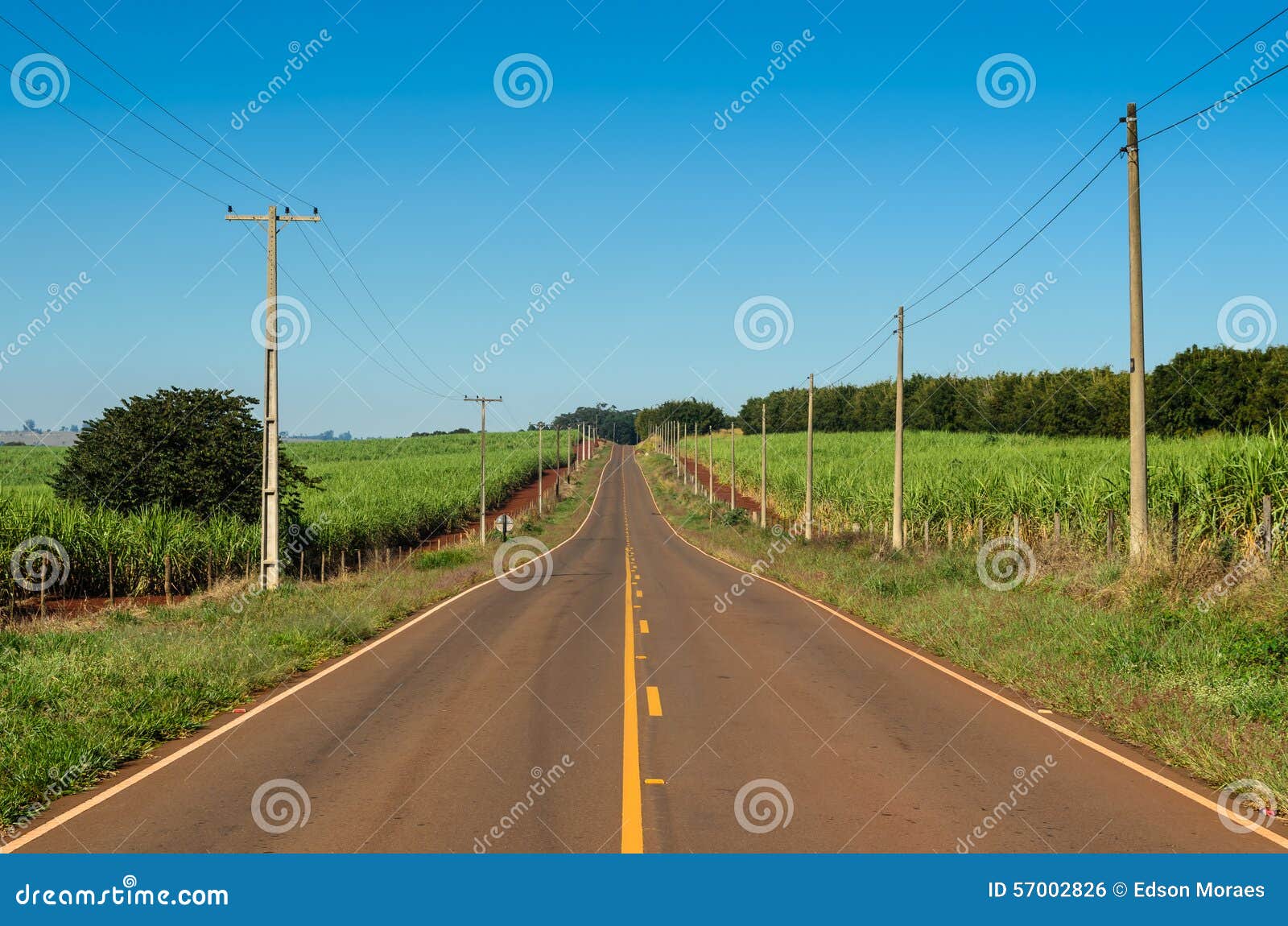 Brazilian rural road stock photo. Image of scene, tourism - 57002826
