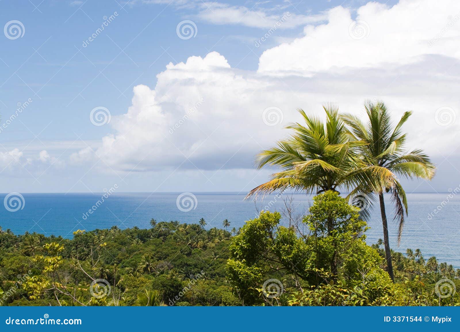 Brazilian Tropics stock photo. Image of itacare, chilling - 3371544