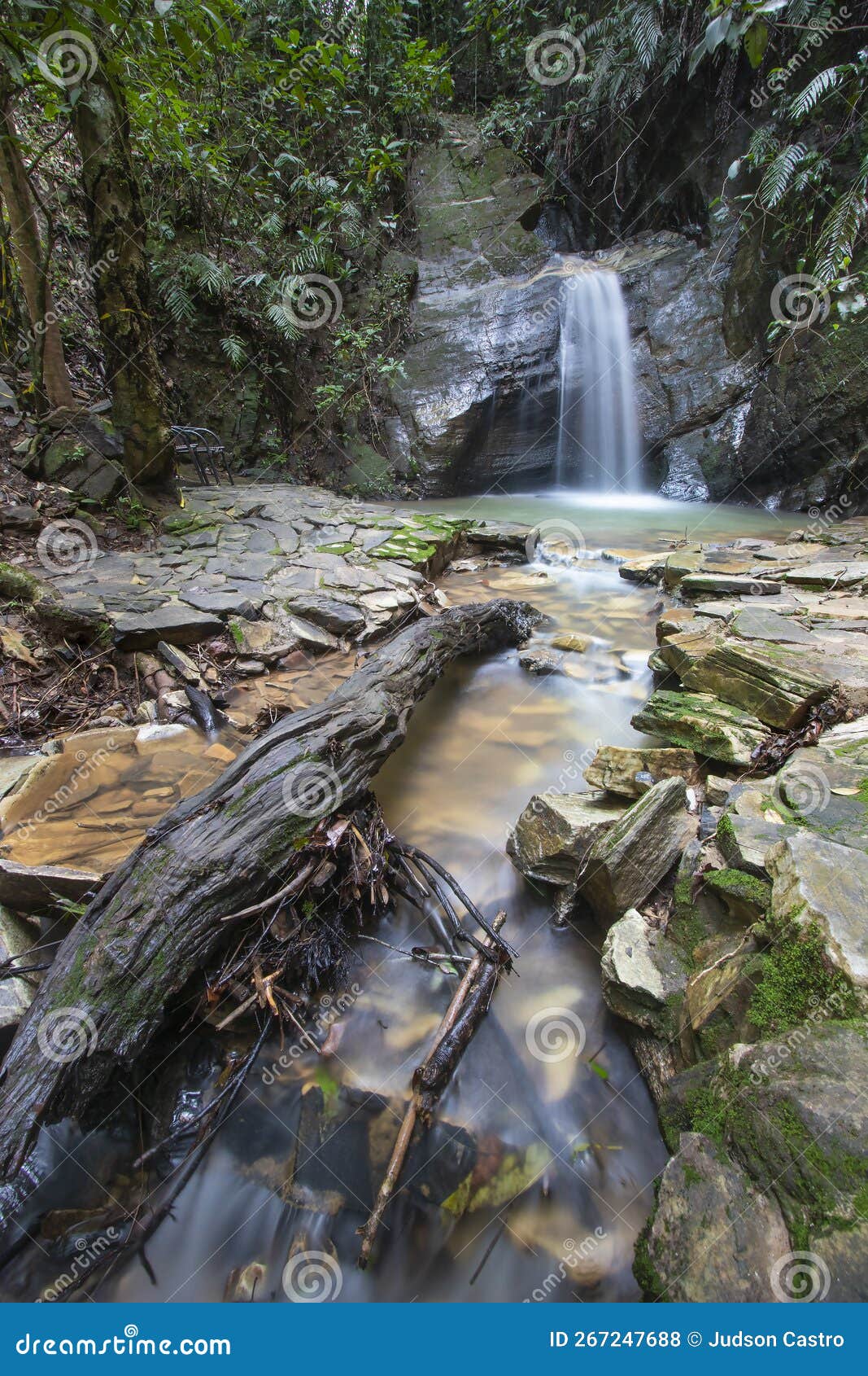 Brazilian Waterfall this Waterfall is Very Beautiful and Cold. Stock ...
