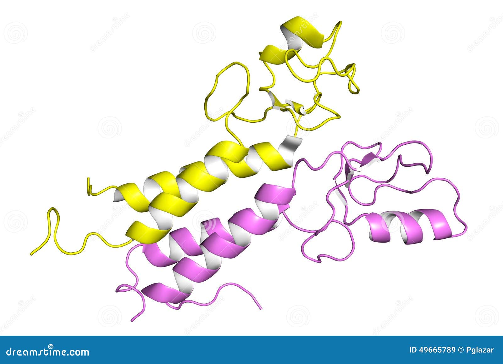 BRCA1 model stock illustration. Illustration of ovarian - 49665789