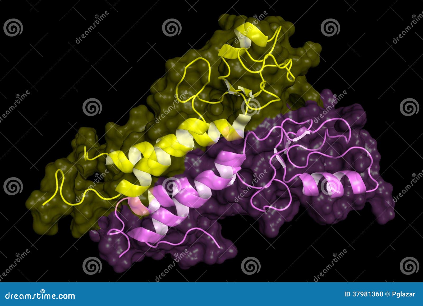 BRCA1 protein stock illustration. Illustration of benign - 37981360