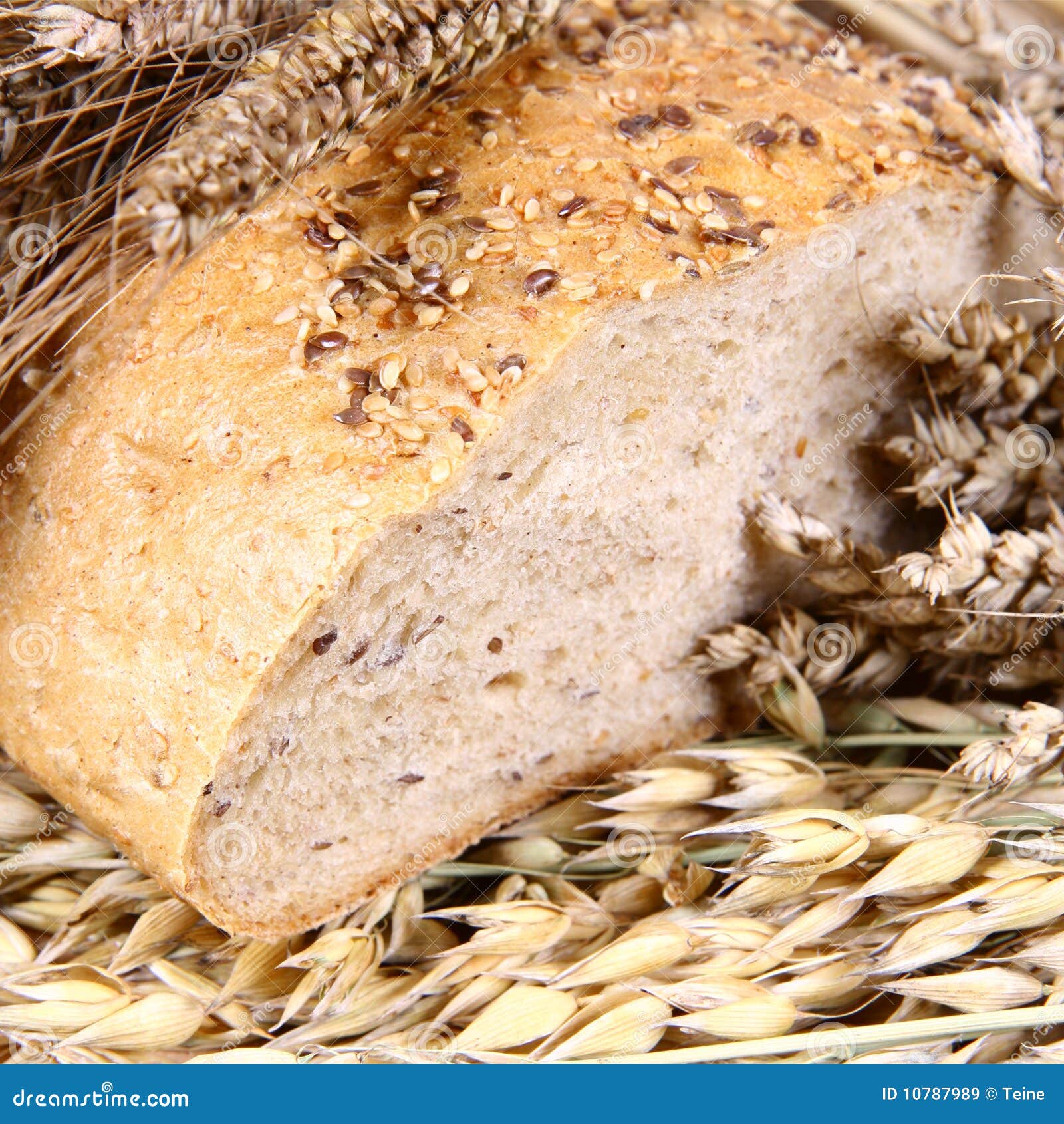 Bread stock image. Image of display, wheat, bread, baked - 10787989