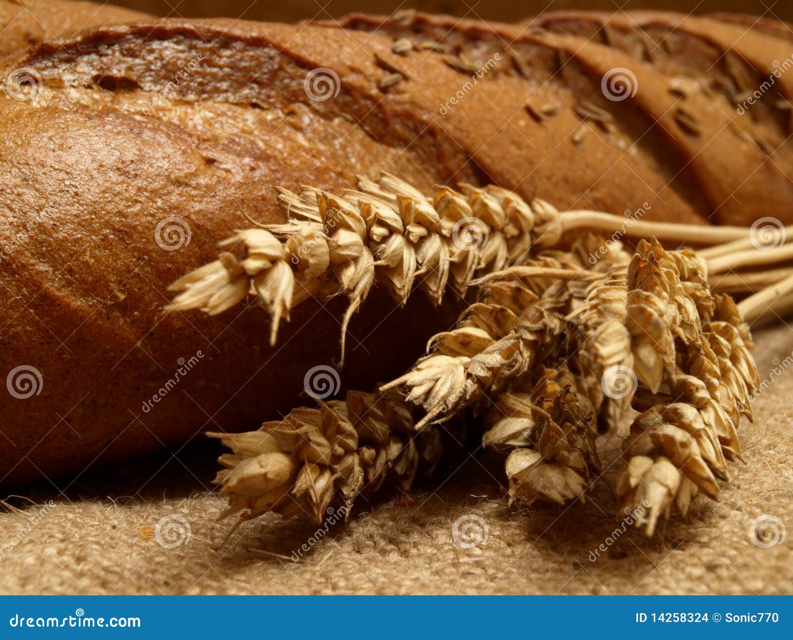 Bread stock photo. Image of healthy, appetising, grain - 14258324