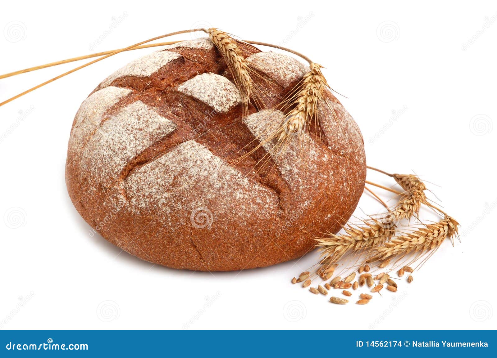 Bread stock photo. Image of bunch, crusty, bakery, preparation - 14562174