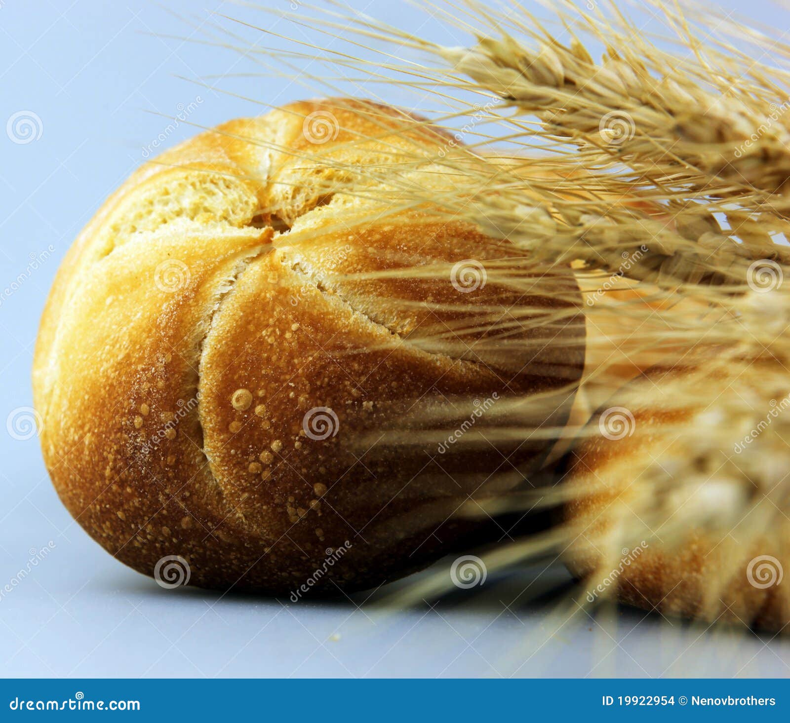 Bread stock photo. Image of indian, ciabatta, parantha - 19922954
