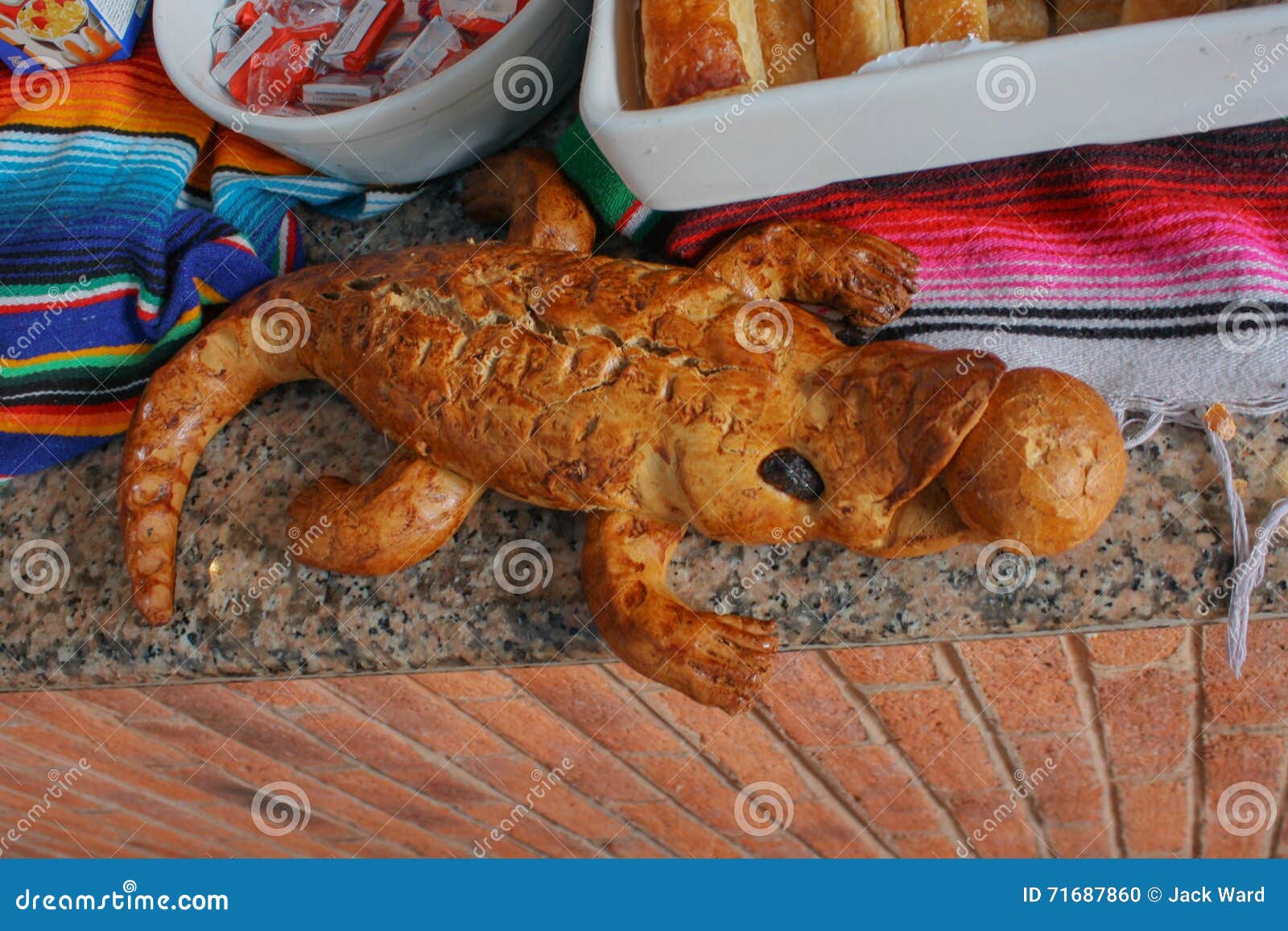 Bread Alligater stock photo. Image of fresh, beautiful - 71687860