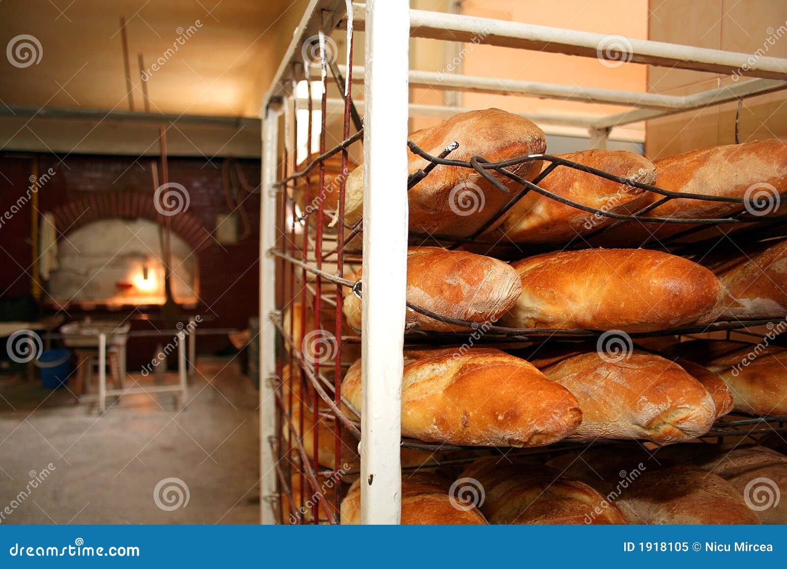 Bread in bakery stock image. Image of occupation, employee - 1918105