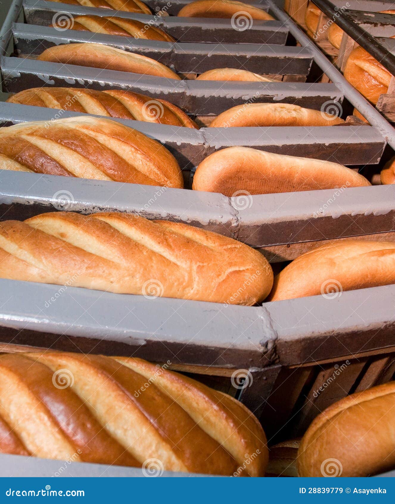 Bread bakery stock image. Image of bake, industry, closeup - 28839779