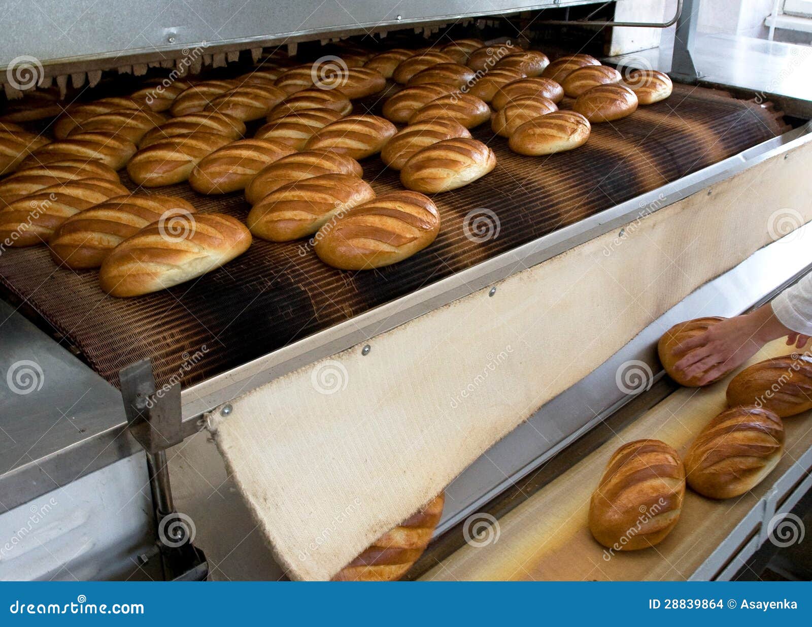 Bread Bakery Stock Photo | CartoonDealer.com #28839864