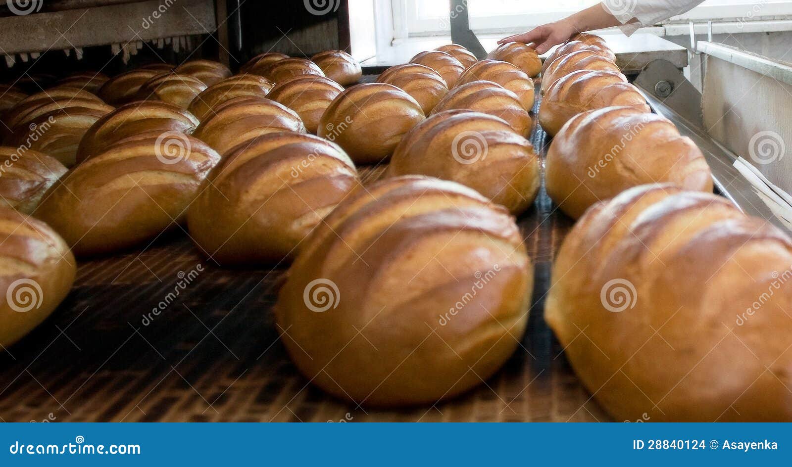 Bread bakery stock photo. Image of industry, cake, loaf - 28840124
