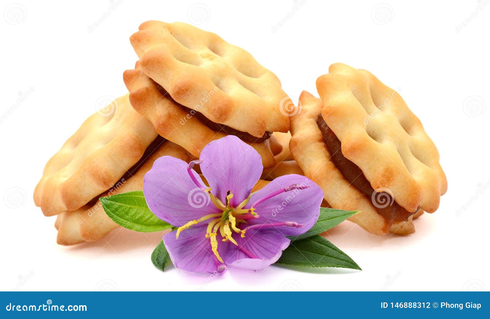 Round biscuits stack. stock photo. Image of prints, biscuit - 146888312