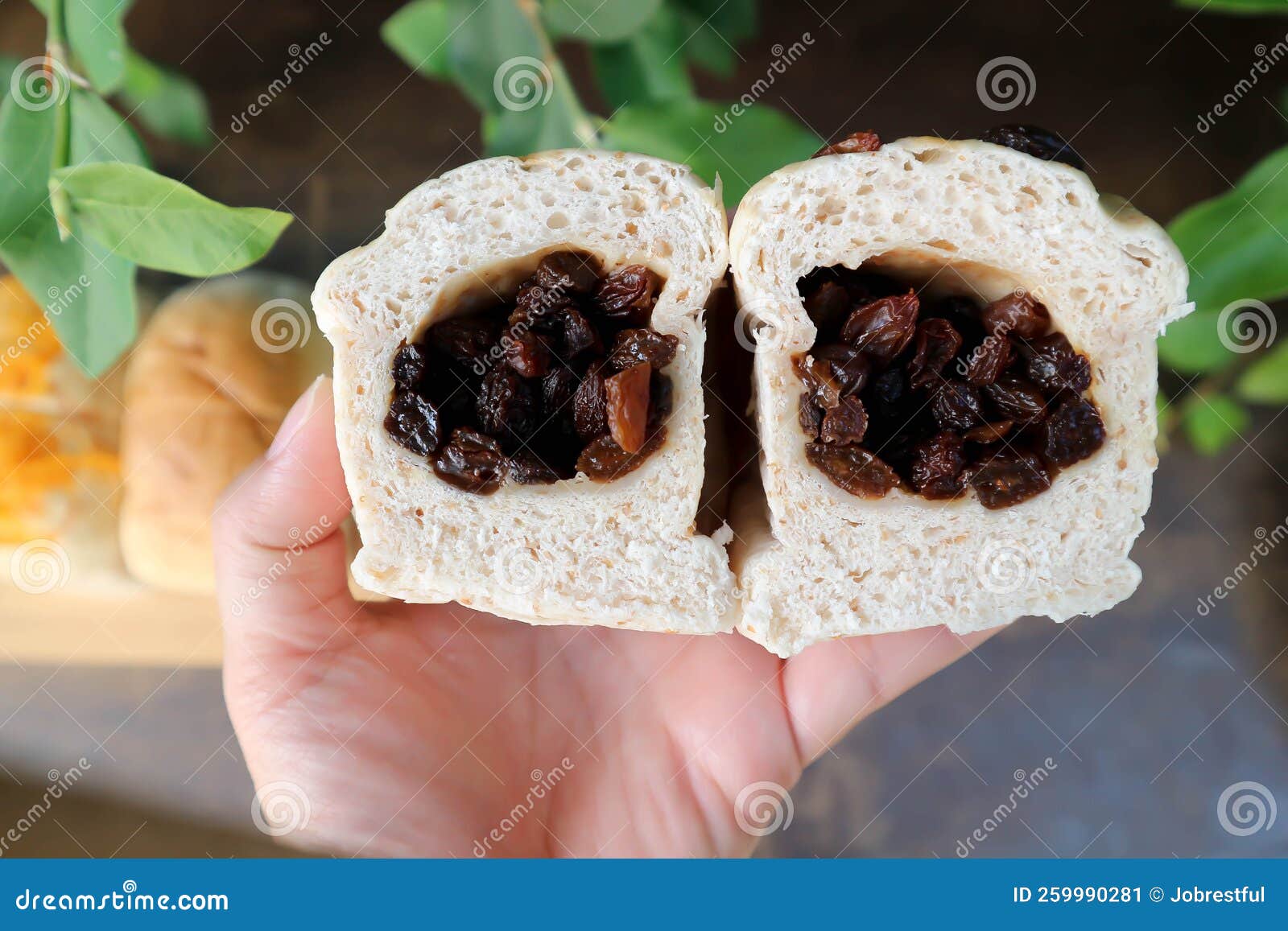 Bread or Bun with Raisin Stuffed or Raisin Bun, Raisin Bread Stock ...