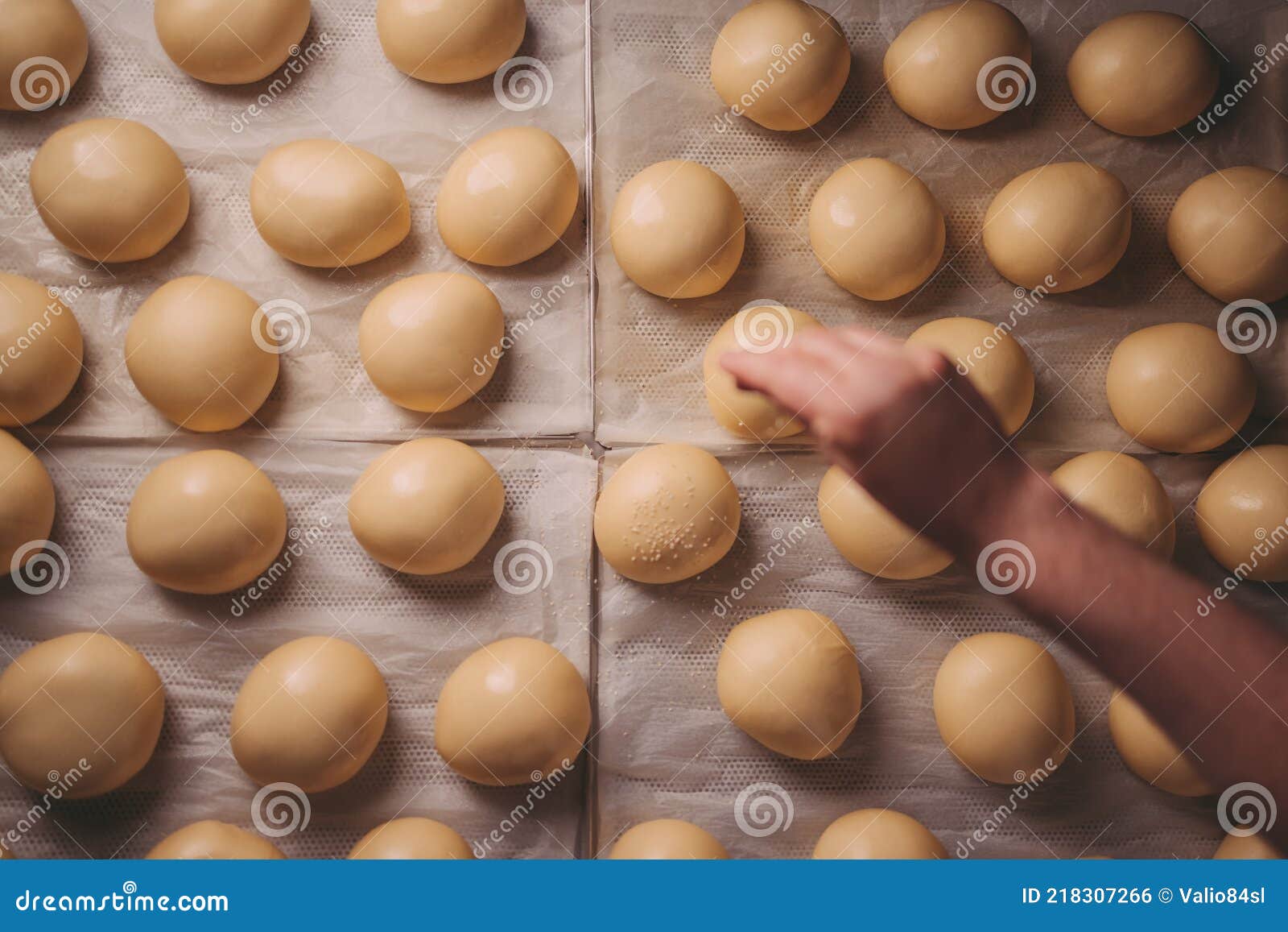 Bread Buns in a Pan Top View, Soft Dough in Bakery Stock Photo - Image ...