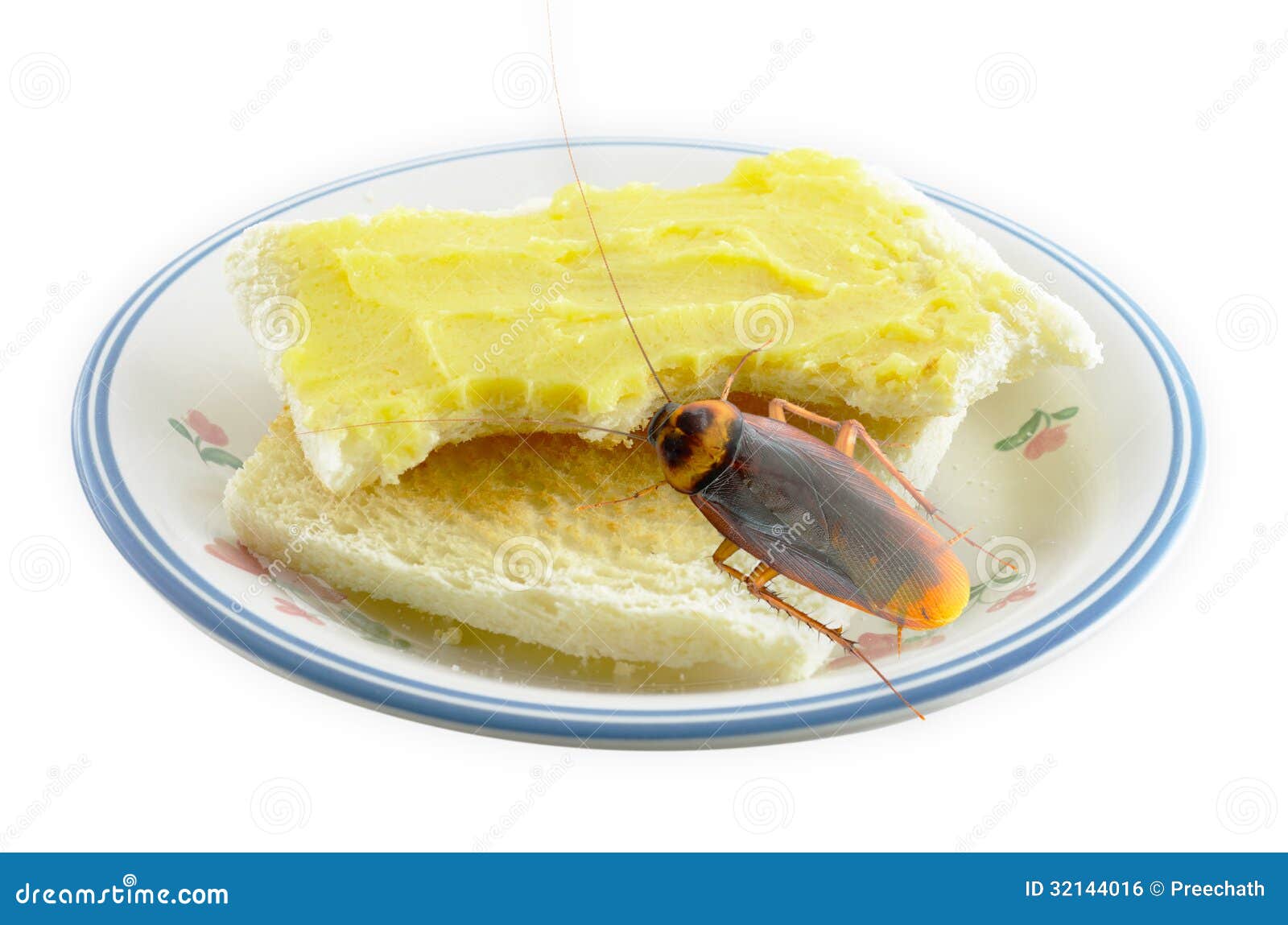 Bread with Butter and Cockroach Stock Photo - Image of morning, europe ...