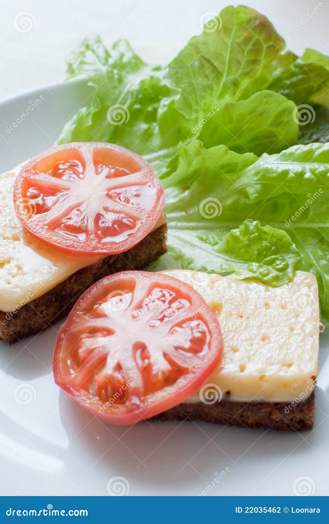 Bread with cheese stock photo. Image of slices, nutritious - 22035462