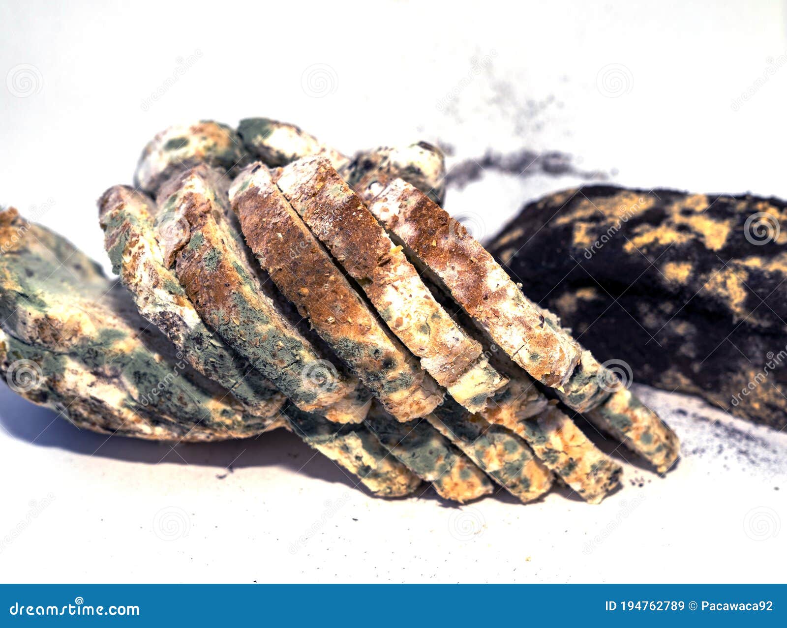 Bread Covered with Black Mold. Spoiled Bread Stock Image - Image of ...