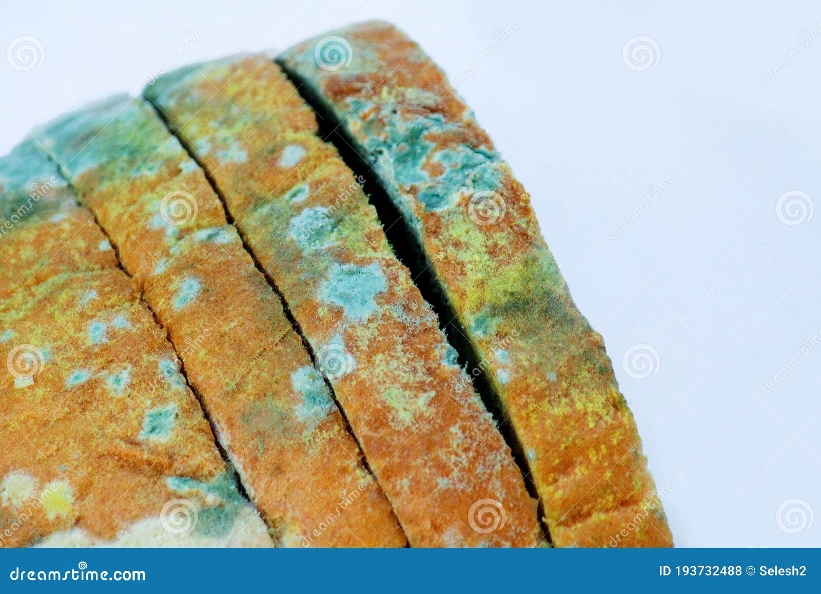 Bread Covered with Mold, a Pile of Spoiled Wheat Bread. Close-up Photo ...