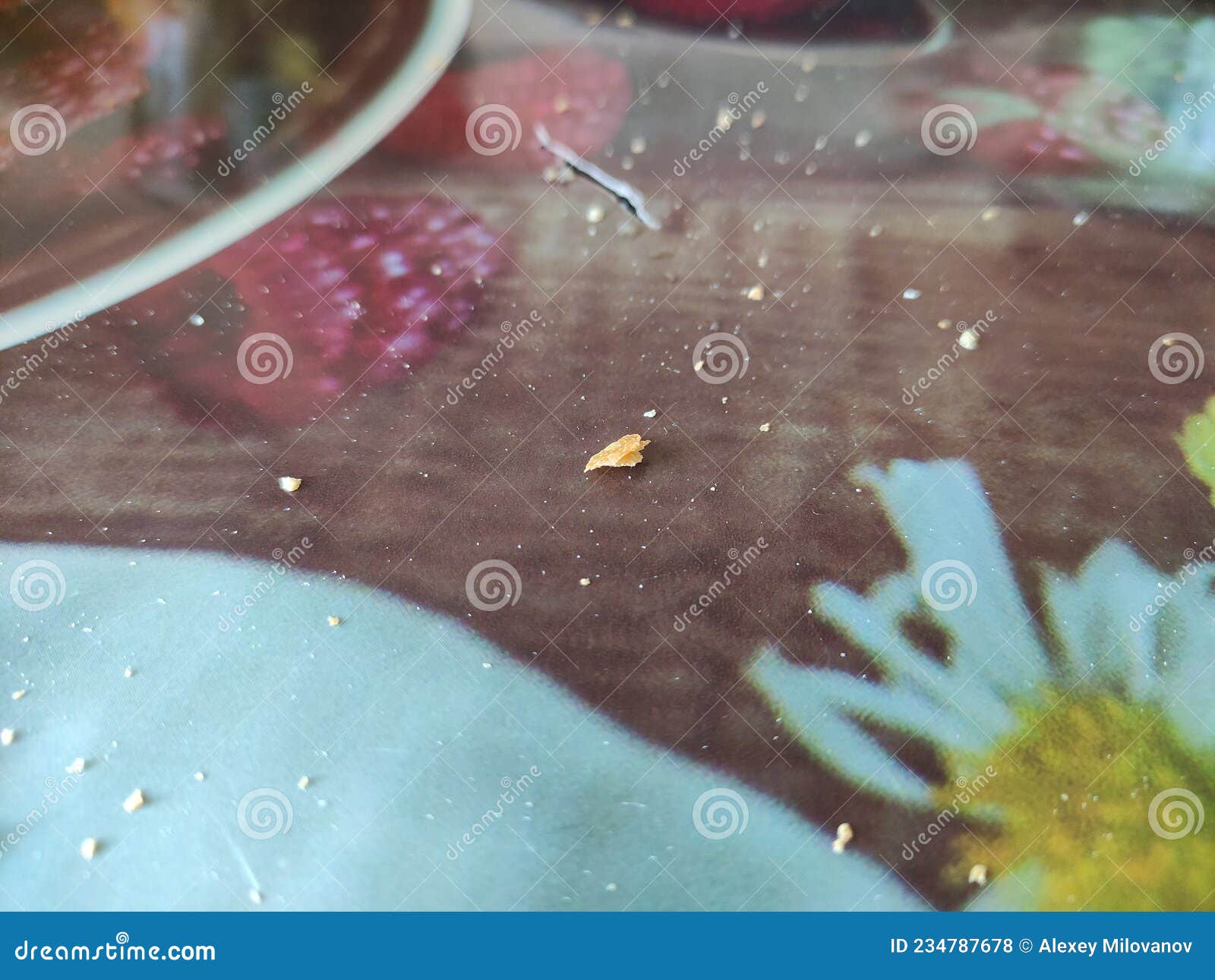 Bread crumbs on a table stock photo. Image of horizontal - 234787678