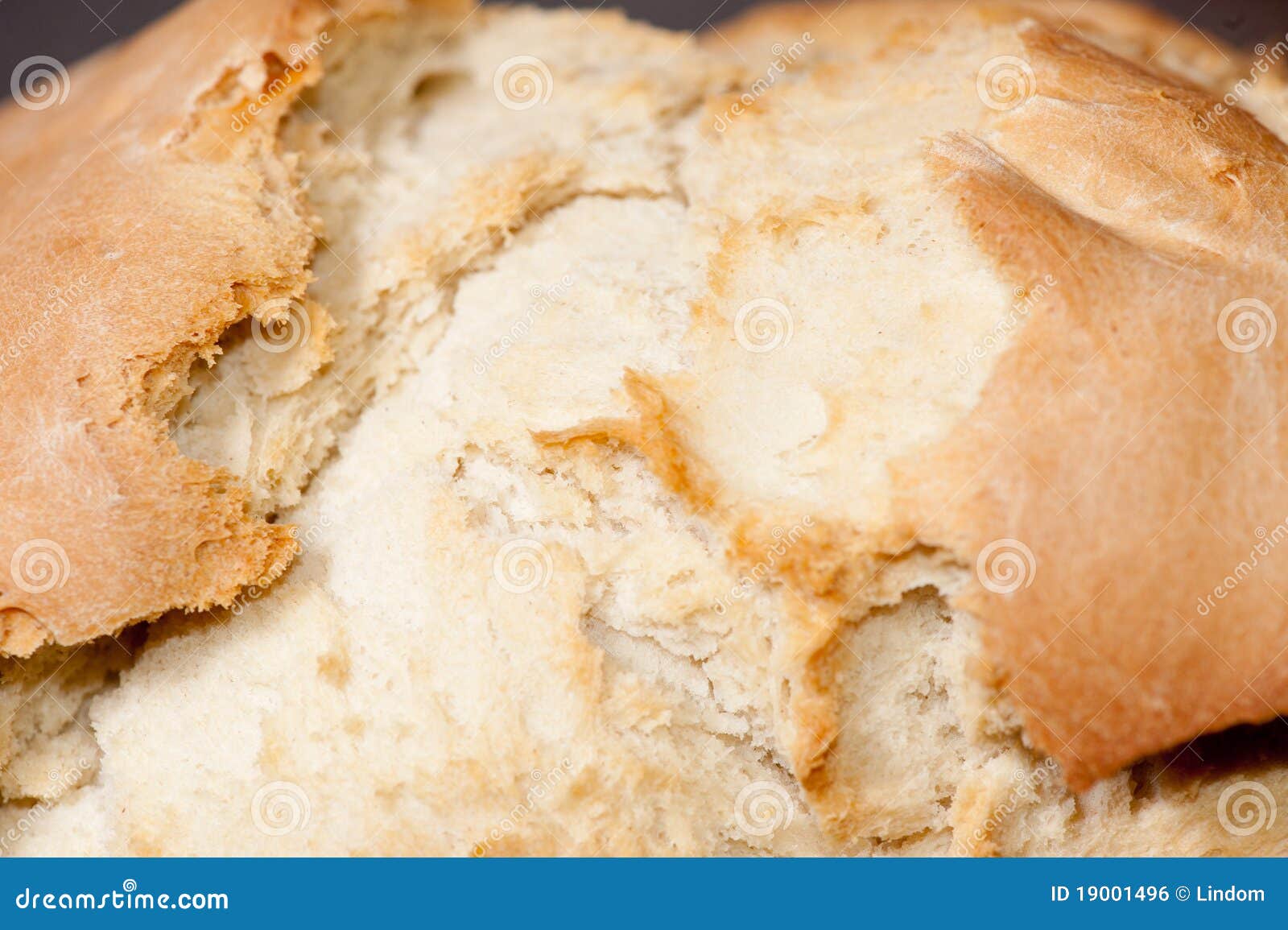 Bread crust stock photo. Image of food, texture, detail - 19001496
