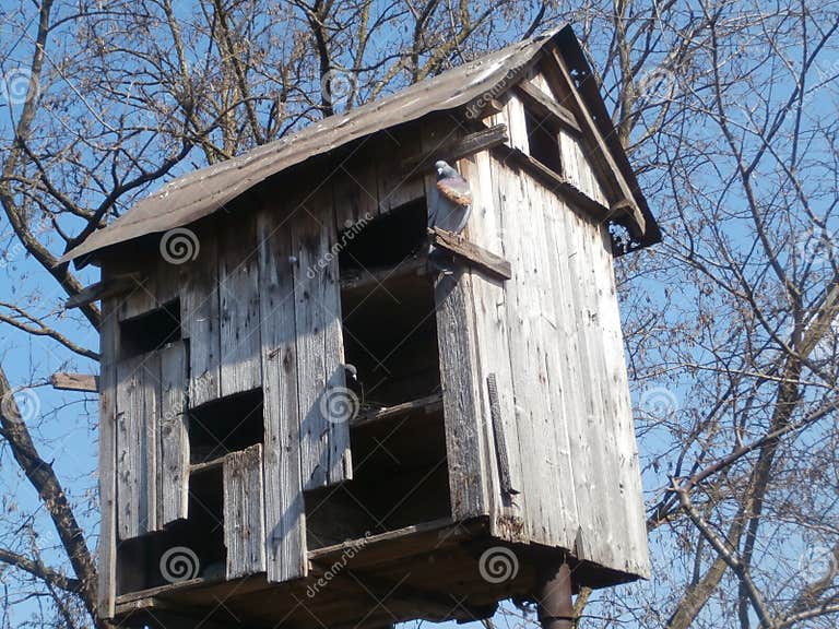 Bread crust in the neck stock photo. Image of crust - 174866294