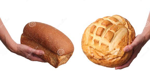 Bread donation stock image. Image of white, bread, responsibility ...