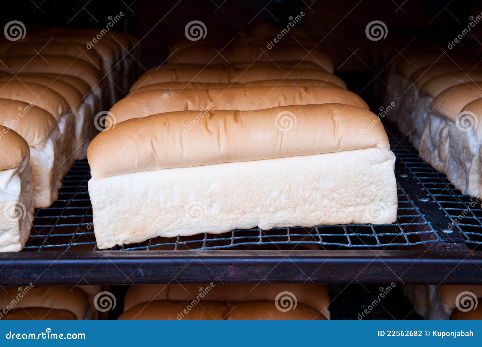 Bread in factory stock photo. Image of plant, manufacture - 22562682