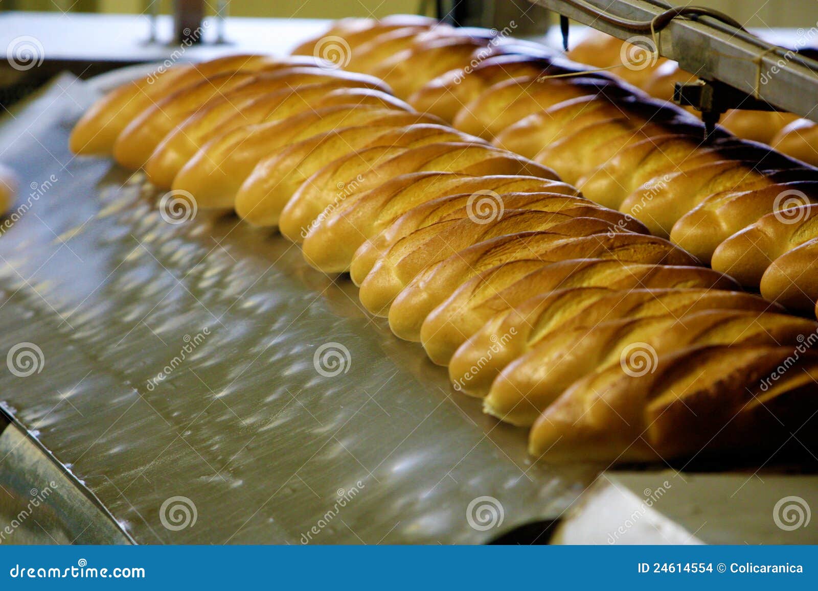 Bread Factory, Production Line Stock Photo - Image of meal, tray: 24614554
