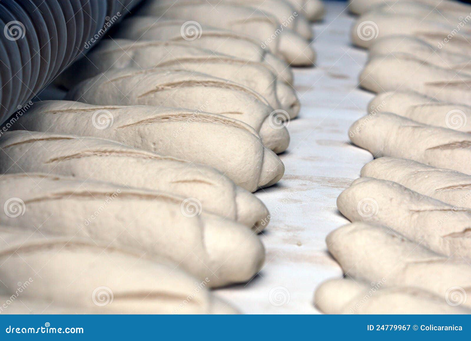 Bread Factory, Production Line Stock Image - Image of rise, line: 24779967