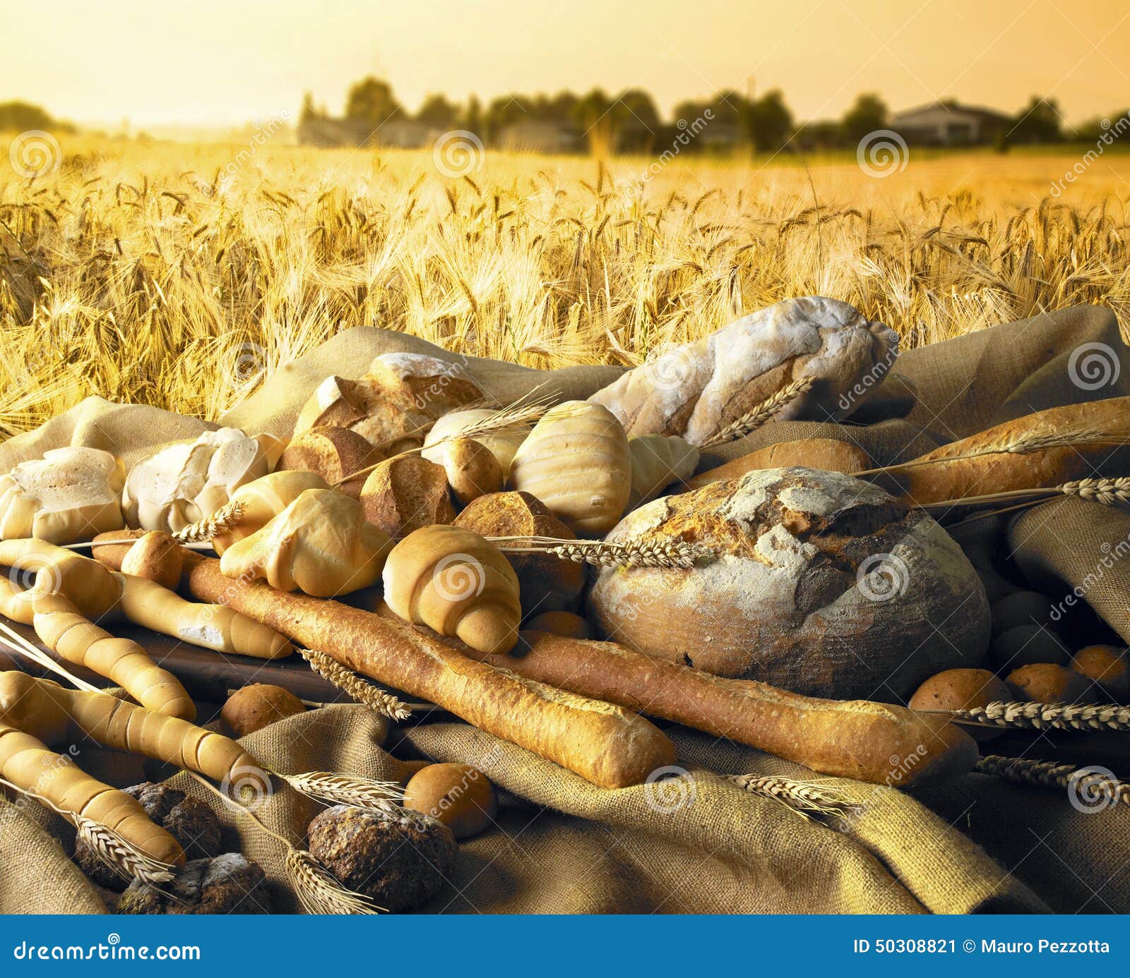 Bread stock image. Image of bread, fresh, crunchy, breakfast - 50308821