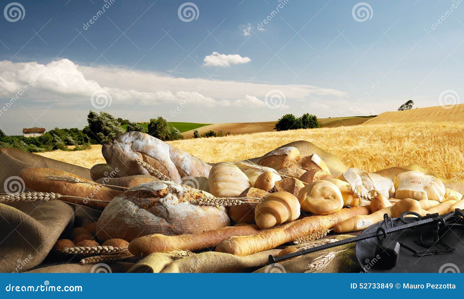 Bread stock image. Image of grocery, healthy, bake, life - 52733849
